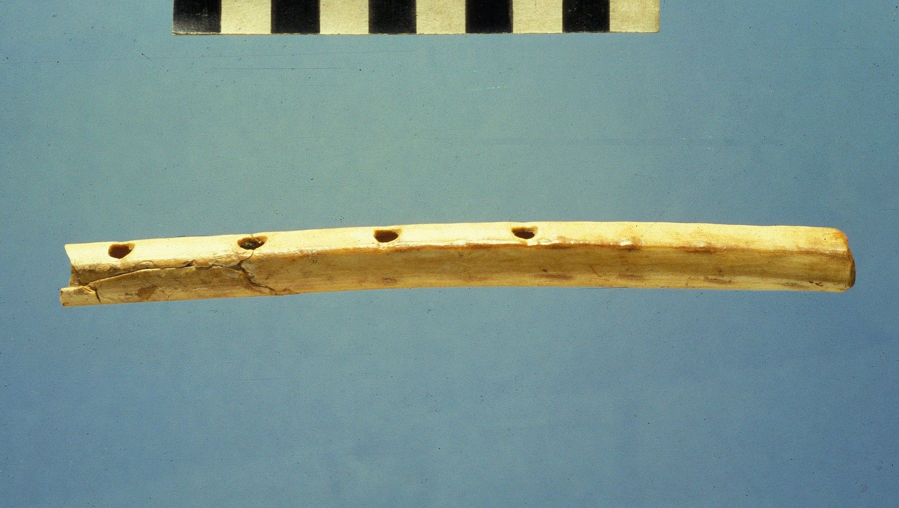 Un flaut rar, făcut din os, a fost dezgropat de arheologii britanici