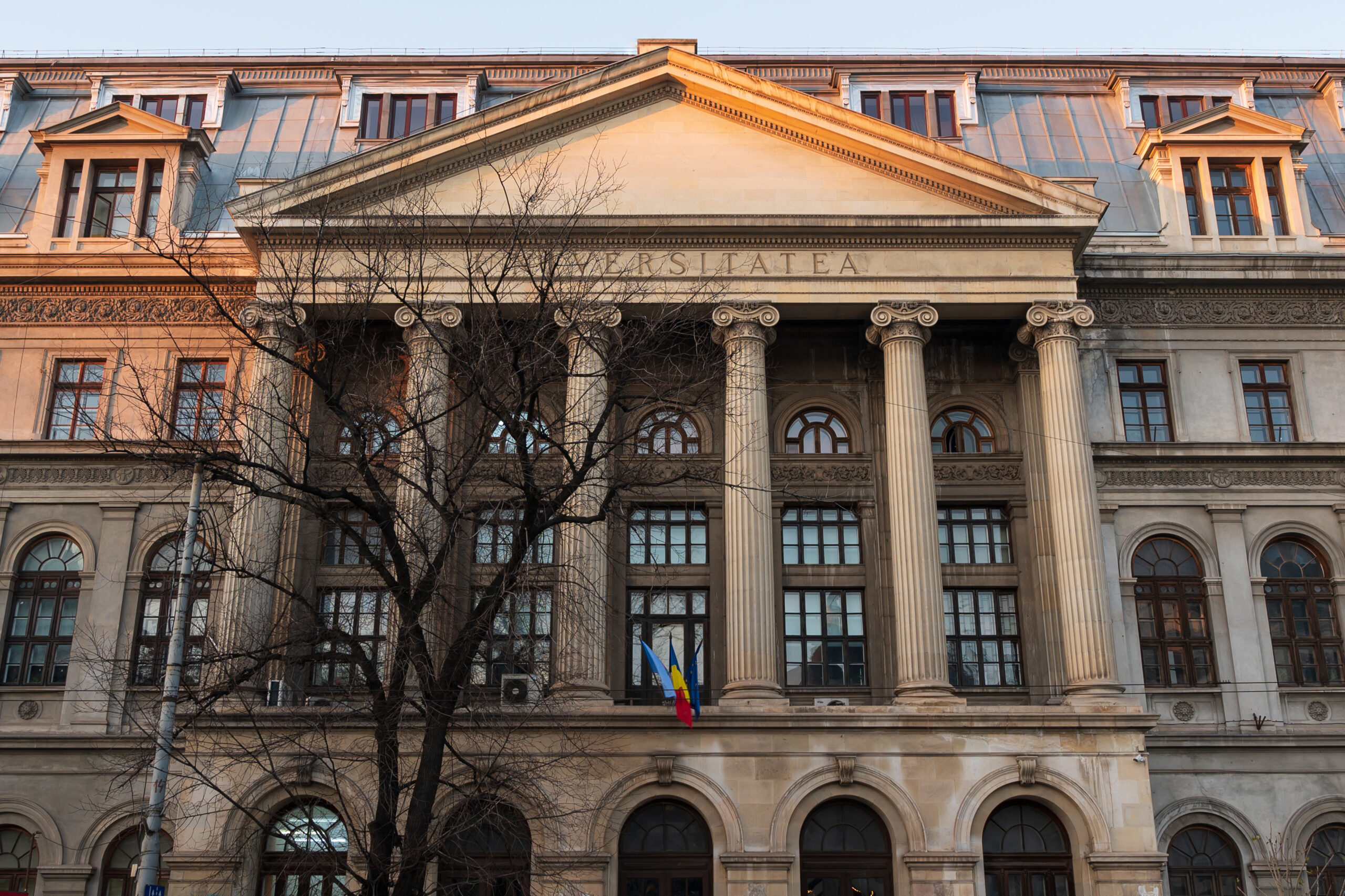 Ce specializări aleg studenții în universitățile din România?