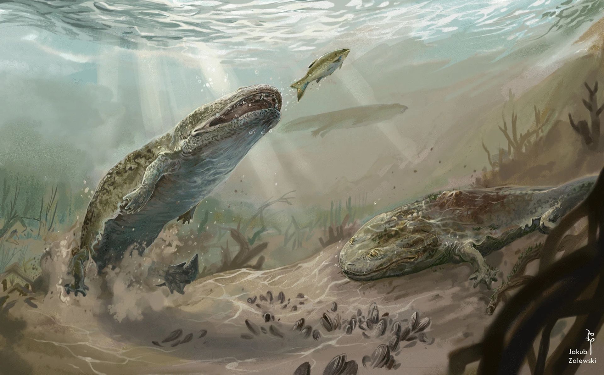 Tumoare de cancer osos, găsită într-o fosilă veche de sute de milioane ...