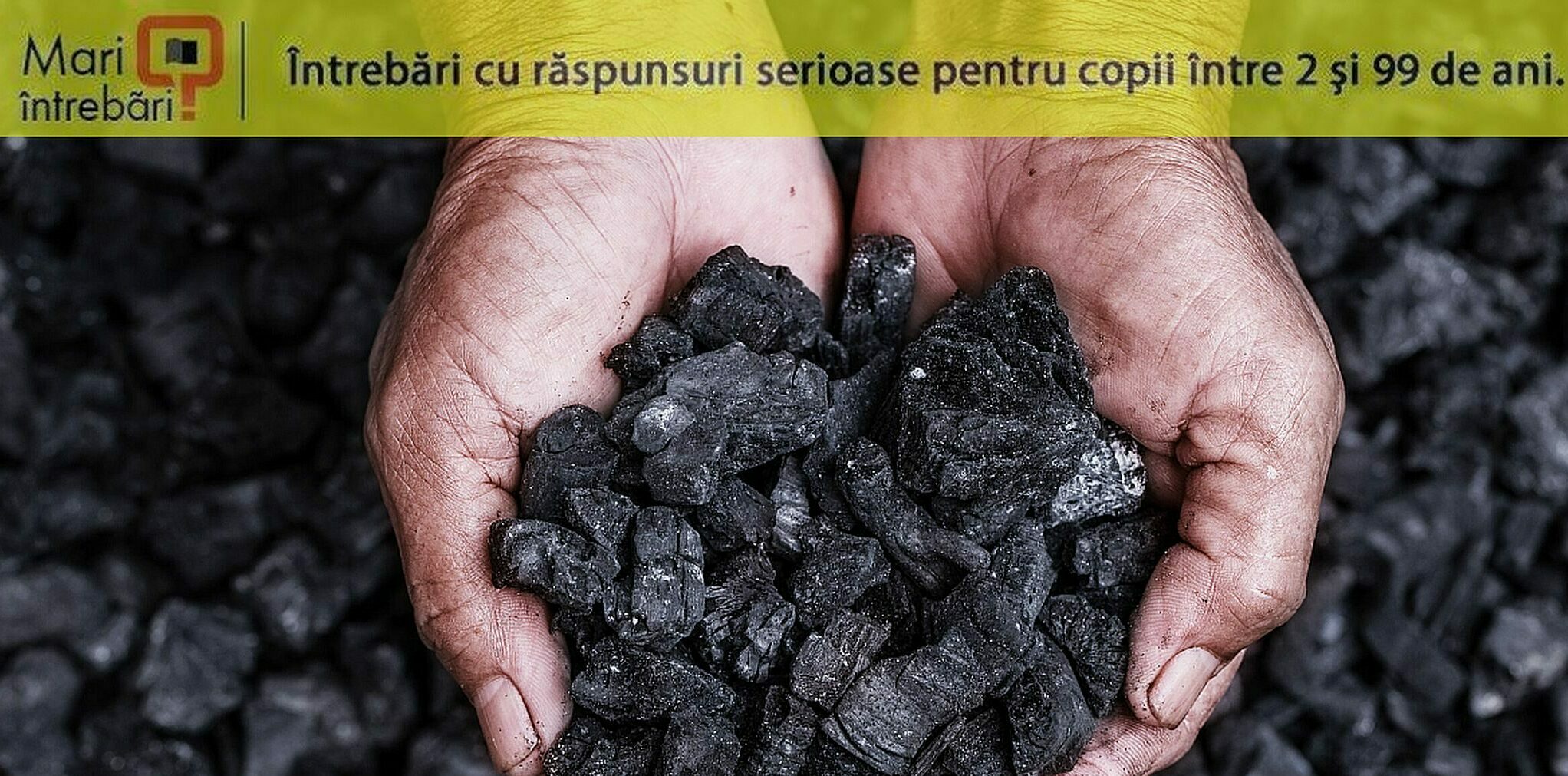 Cum se formează cărbunele?