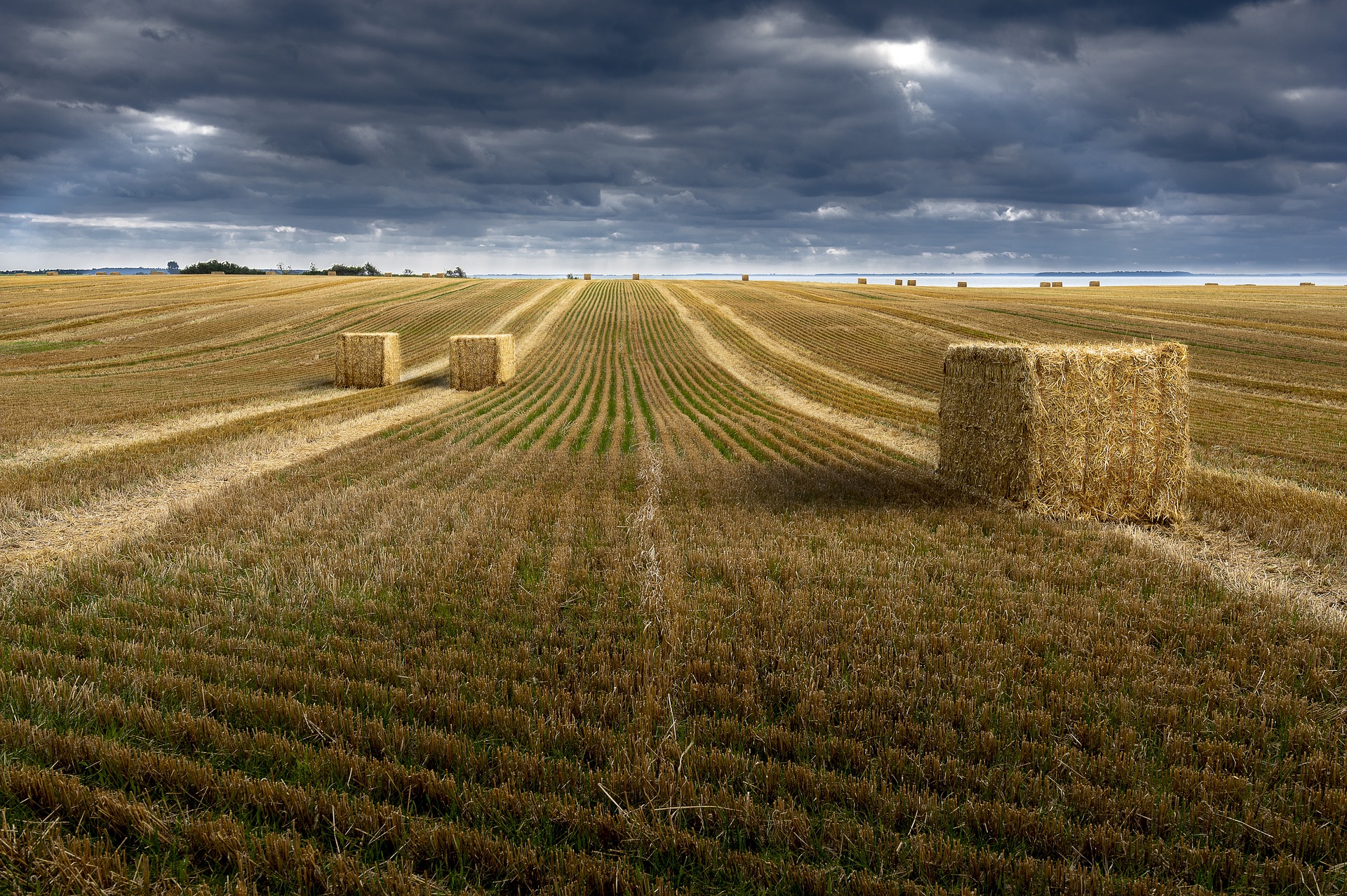 Ce loc ocupă România la producţia de grâu în UE în 2022?