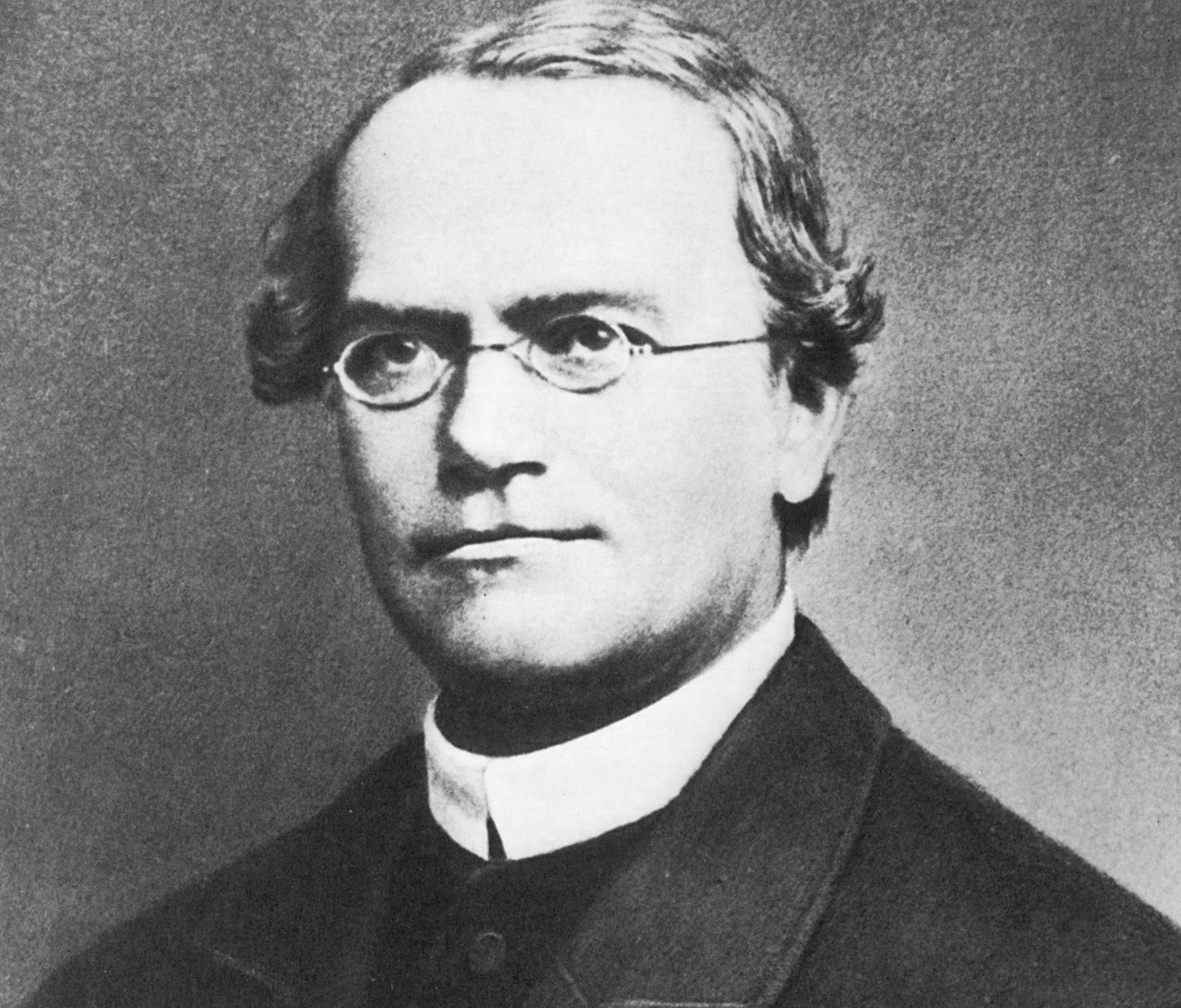 Corpul lui Gregor Mendel, părintele geneticii, a fost dezgropat