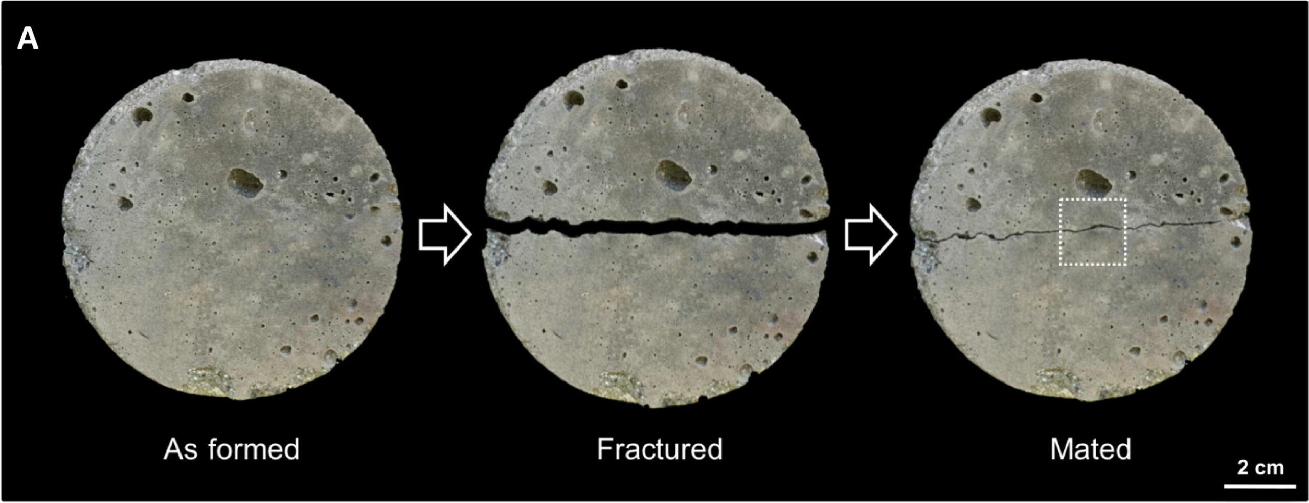 De ce era betonul roman atât de durabil? Cercetătorii au descifrat misterul