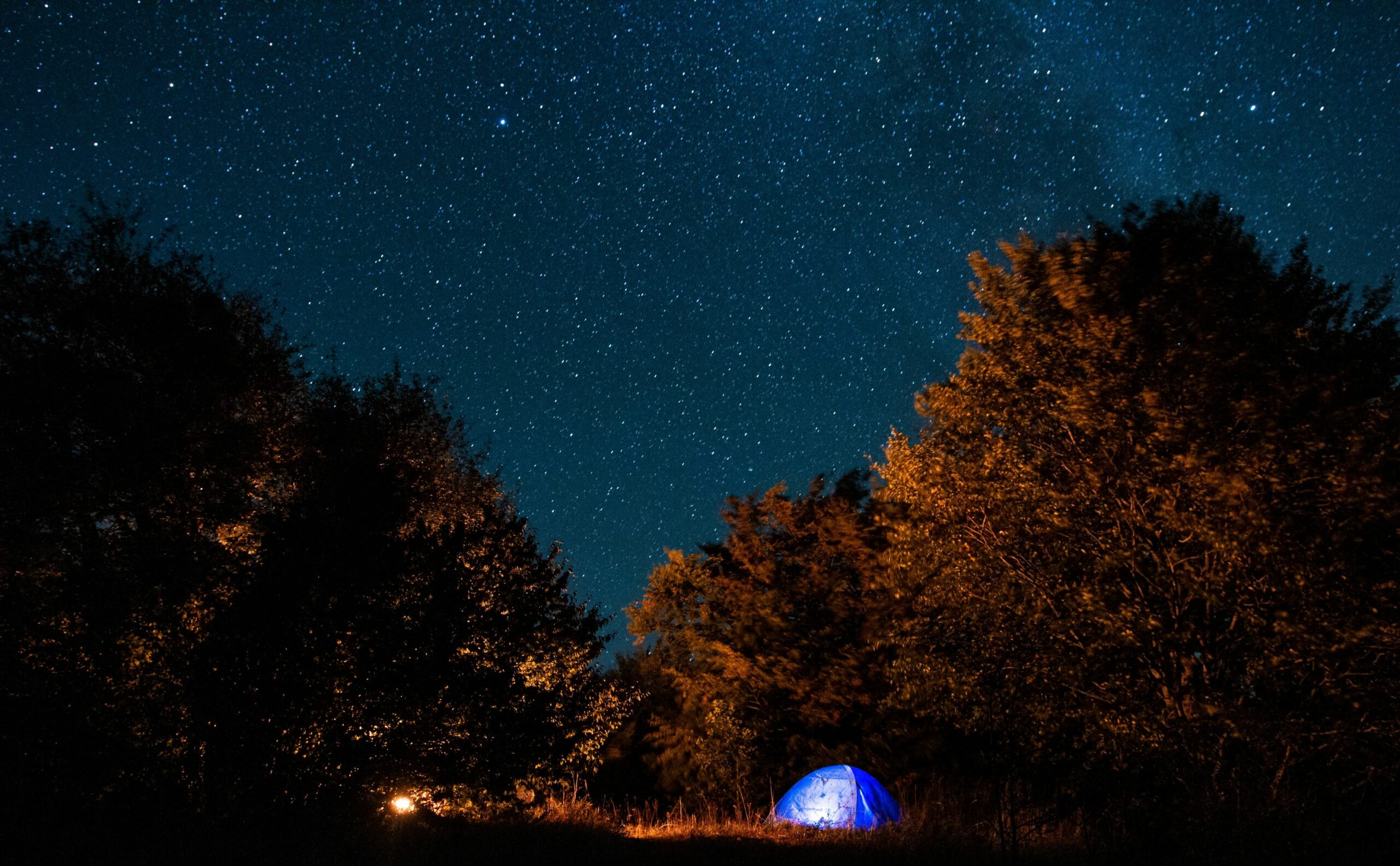 Cerul nopții este cu 9,6% mai luminos în fiecare an. Poluarea luminoasă ...