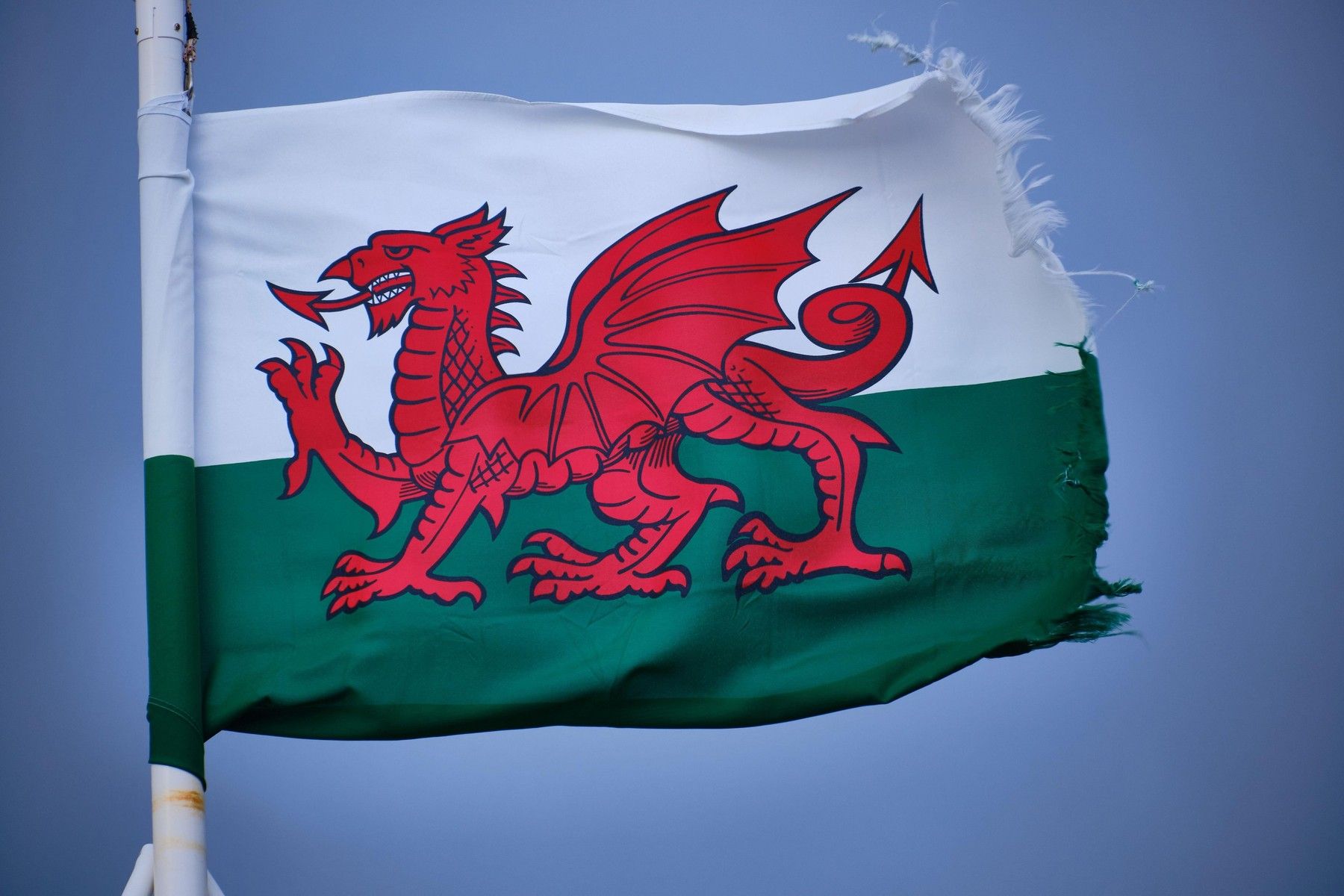 Test de cultură generală. Care țări au dragoni pe drapelul național?