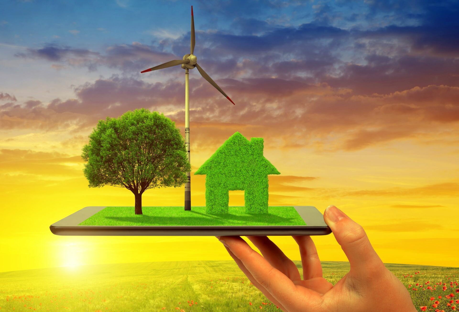 De ce întârzie tranziția ecologică în Uniunea Europeană?