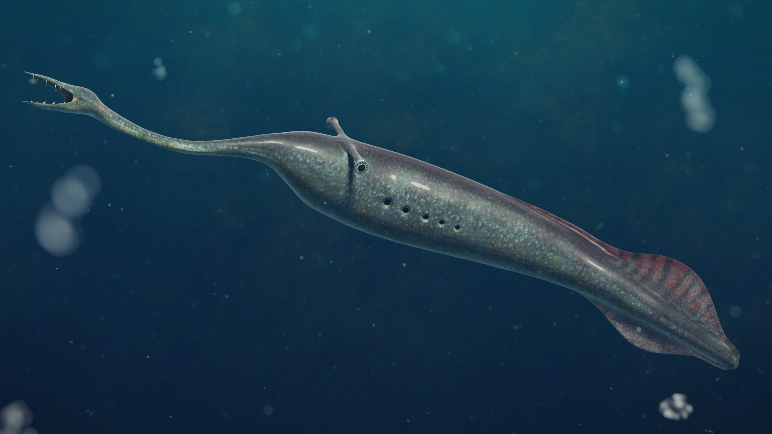 Noi descoperiri despre monstrul Tully, creatura enigmatică din urmă cu ...