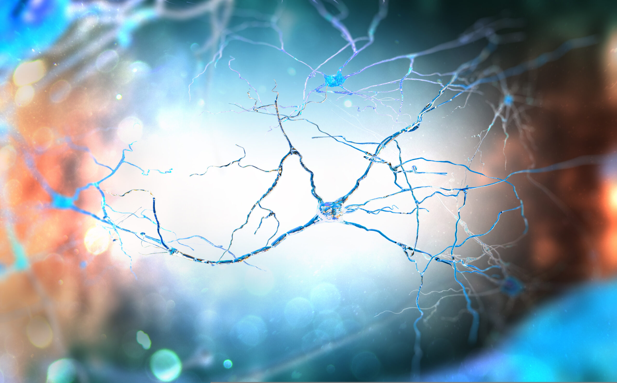 Oamenii de știință au prelungit durata de viață cu un „ceas” genetic ...