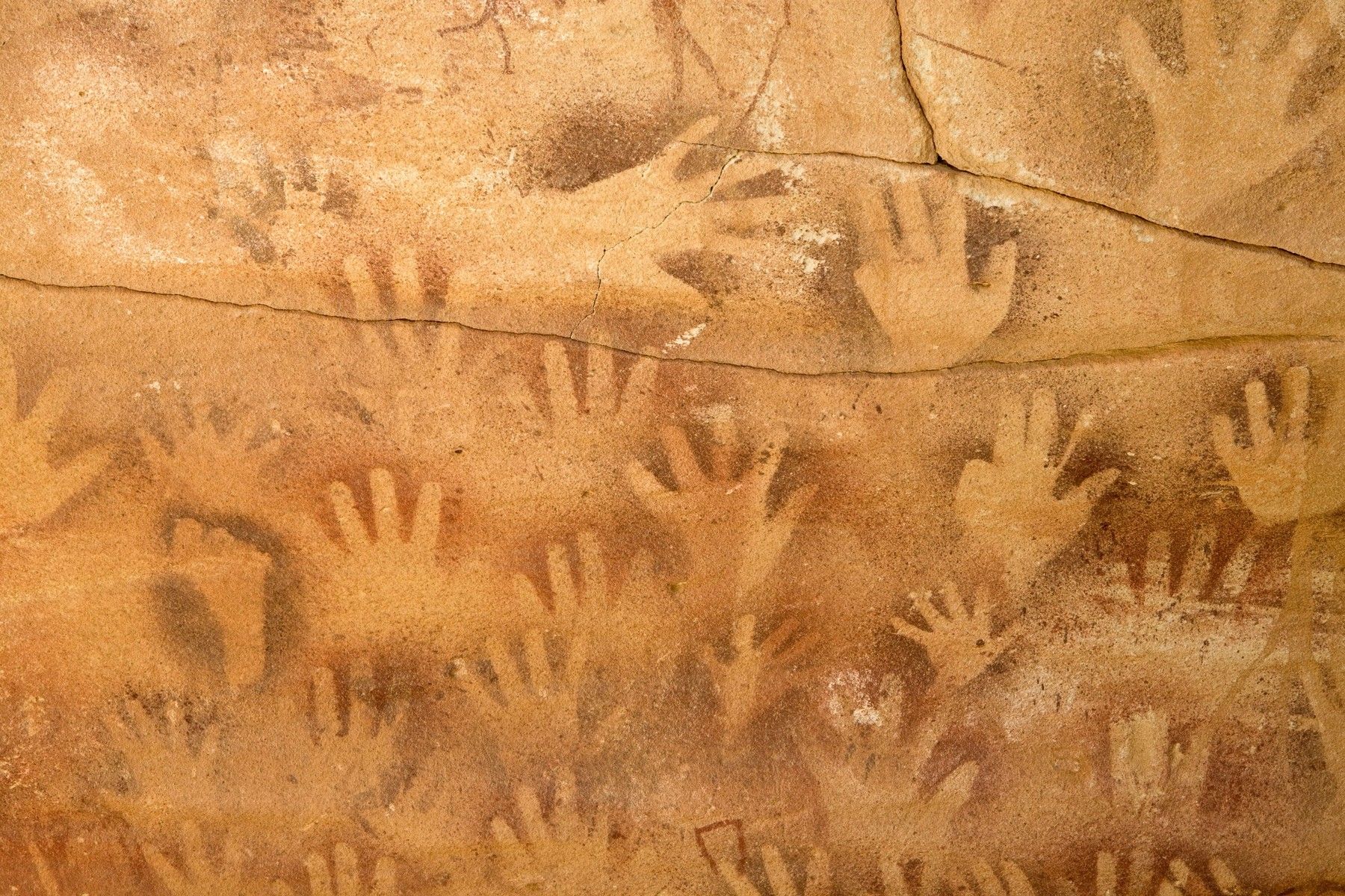 Urmele preistorice de „mâini de copii” nu sunt ceea ce par a fi