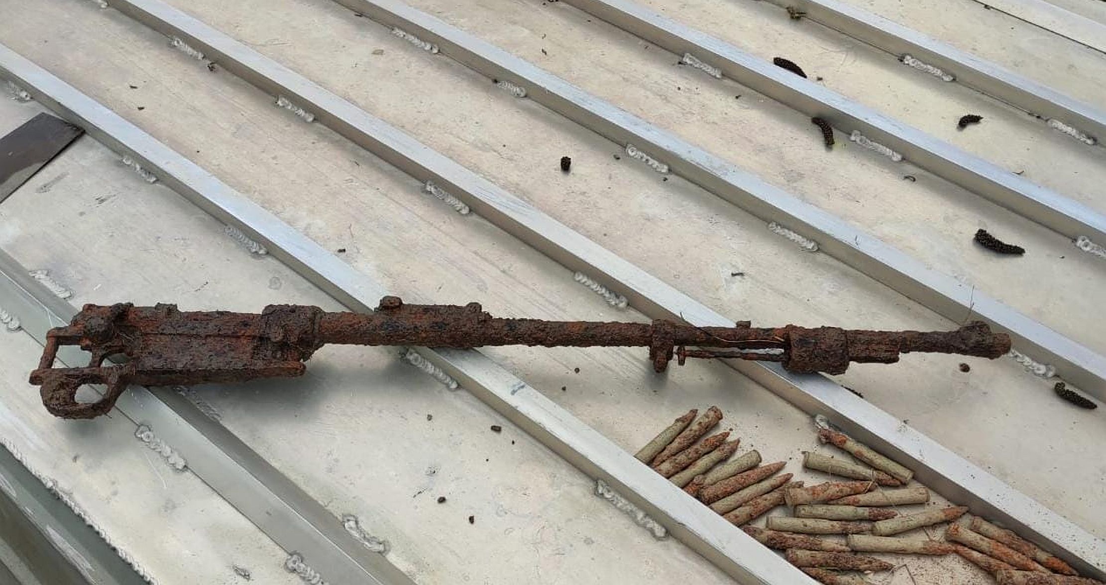 Muniție din Primul Război Mondial, găsită într-o grădină din Curtea de ...