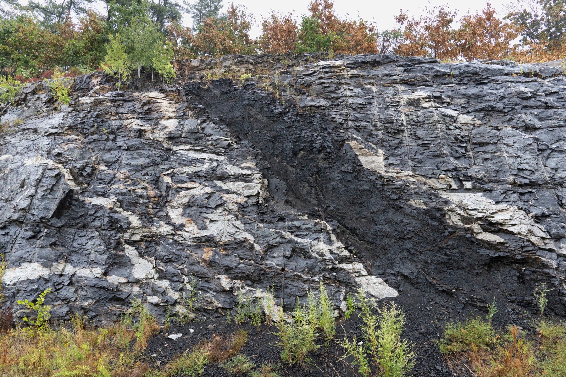 „Praful magic” care ar putea combate schimbările climatice