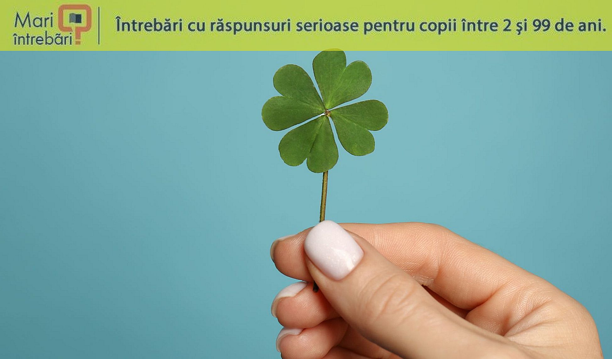 Cât de rar este de fapt trifoiul cu patru foi?