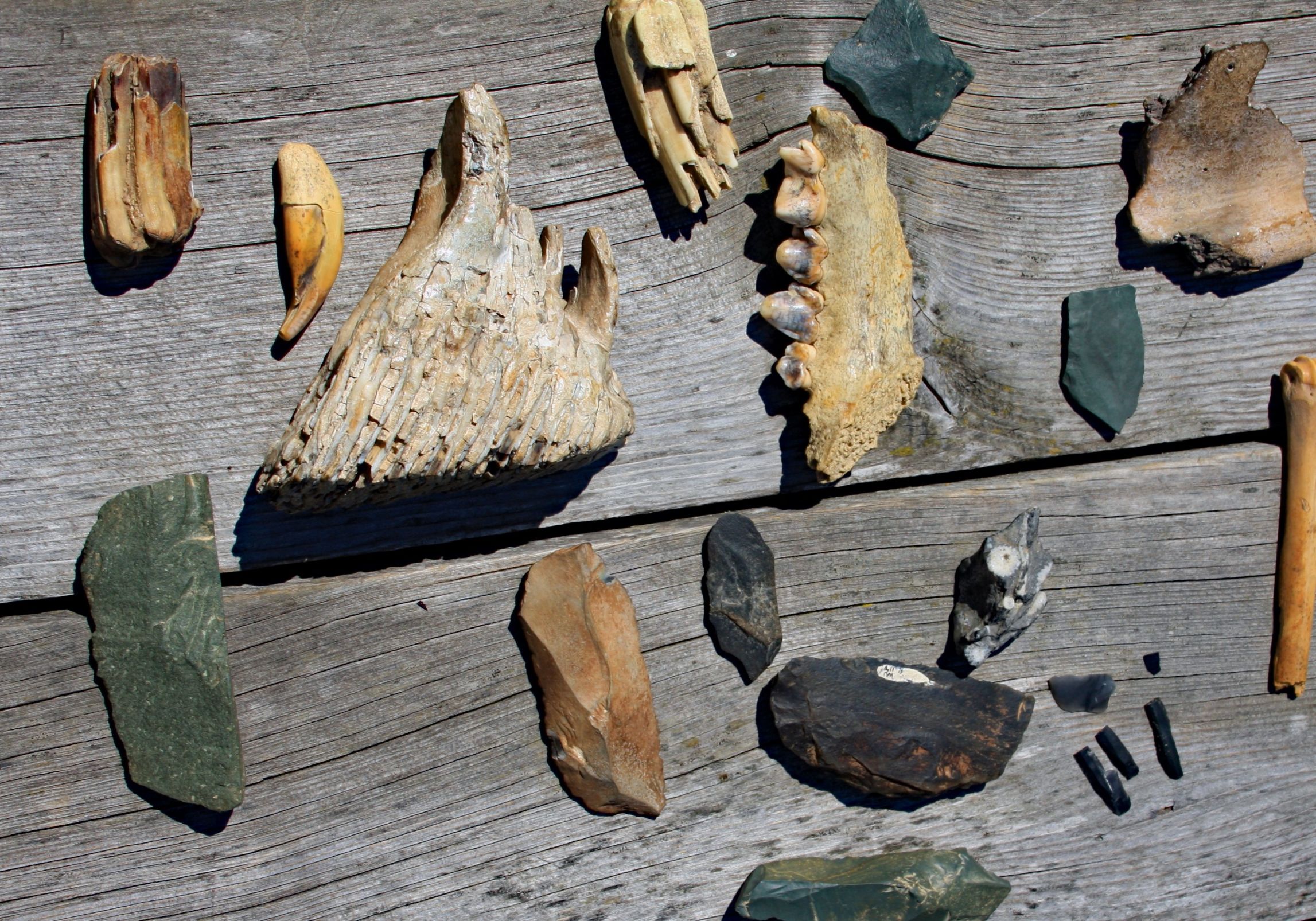 Unelte găsite într-o peșteră de Neanderthal sugerează existența unei ...