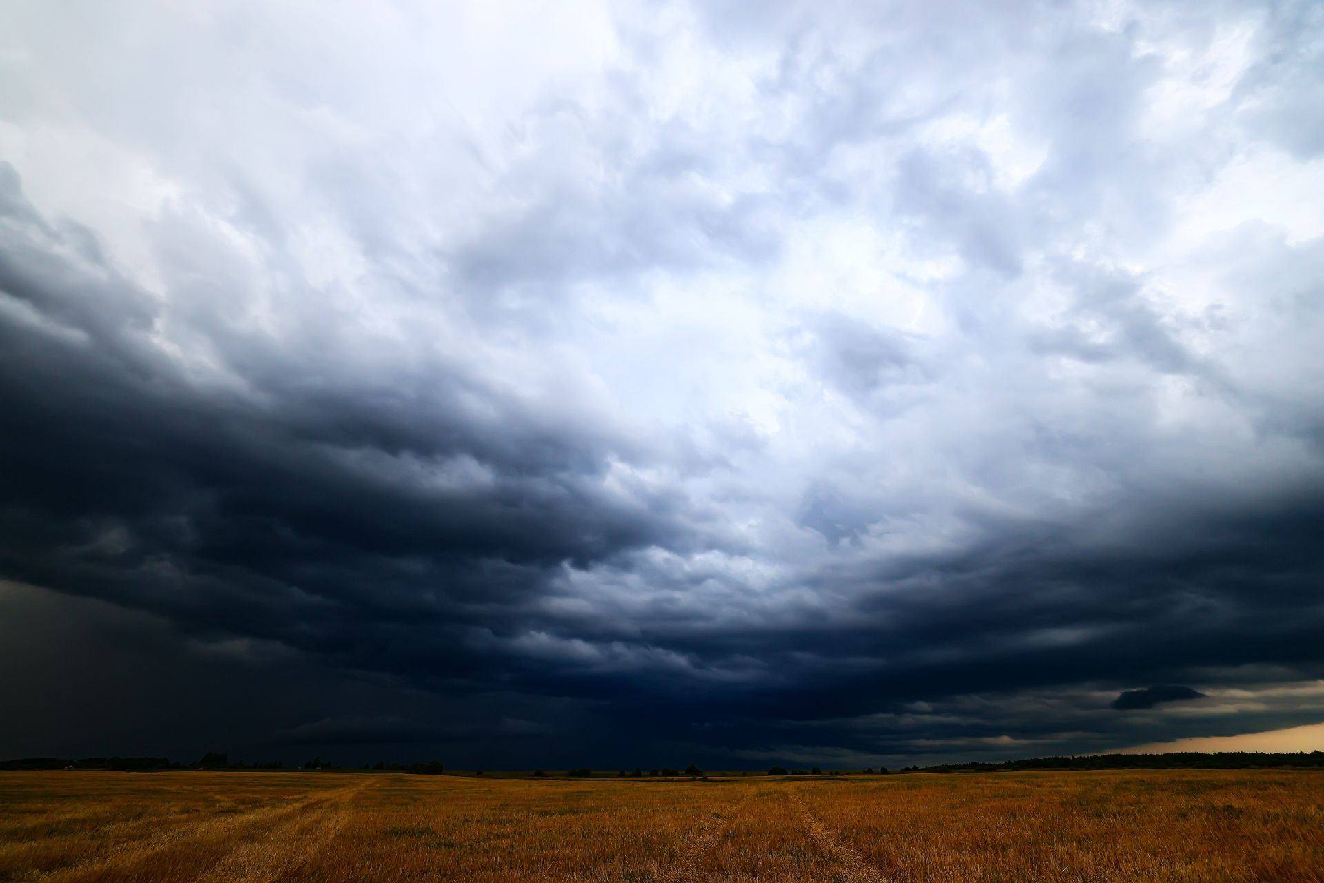 Mirosul de ploaie, mit sau realitate? Iată ce spune știința