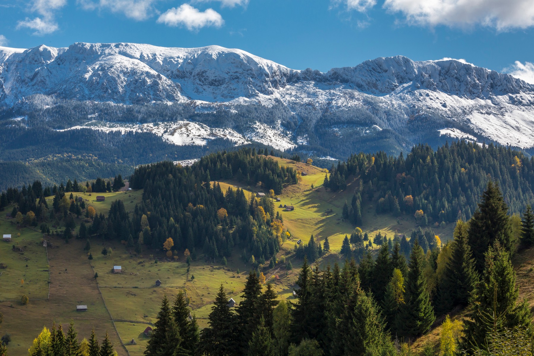 Pădurile din România vor fi monitorizate printr-un nou sistem