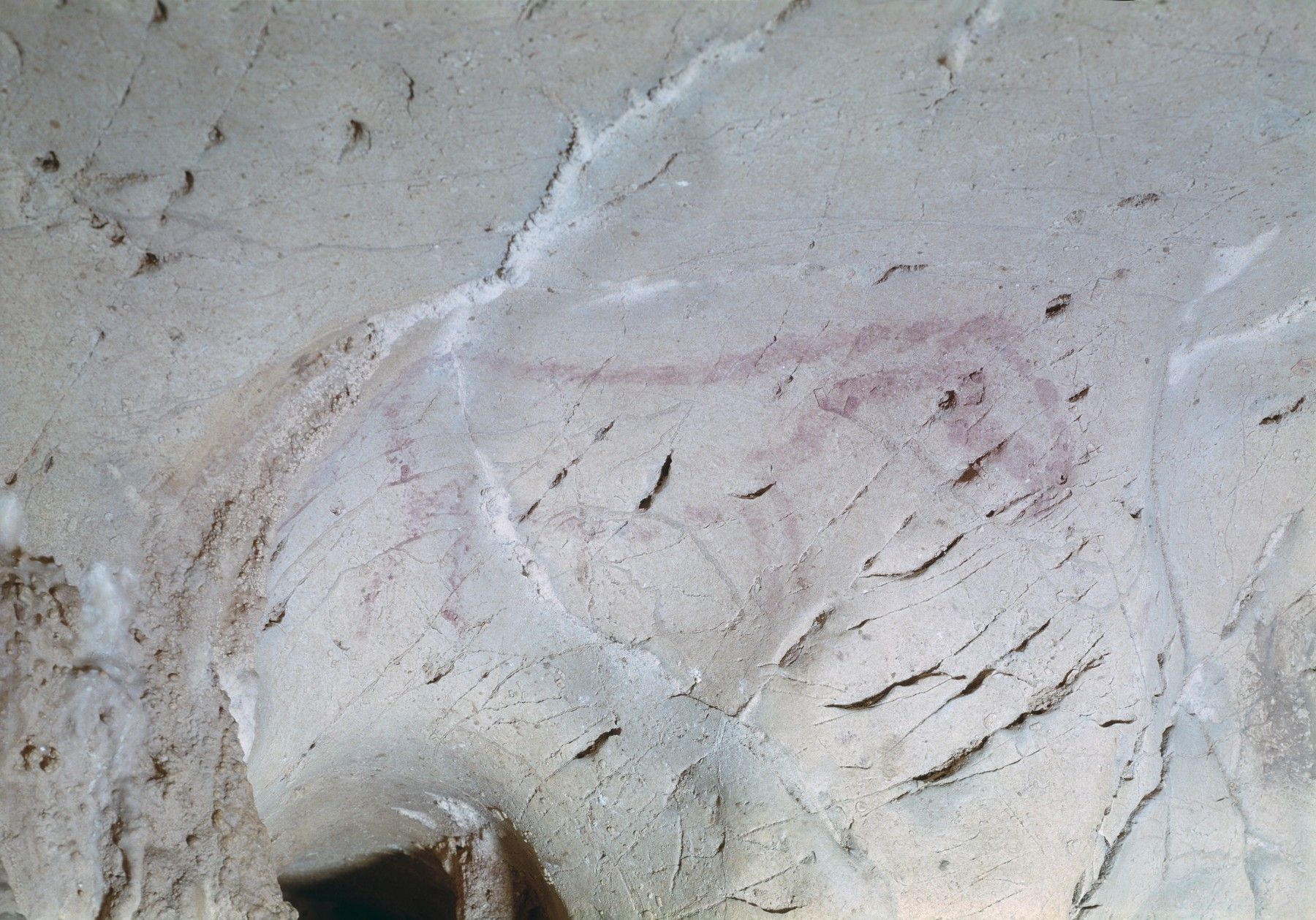 Artă rupestră „3D”, descoperită în peșteri din Paleolitic