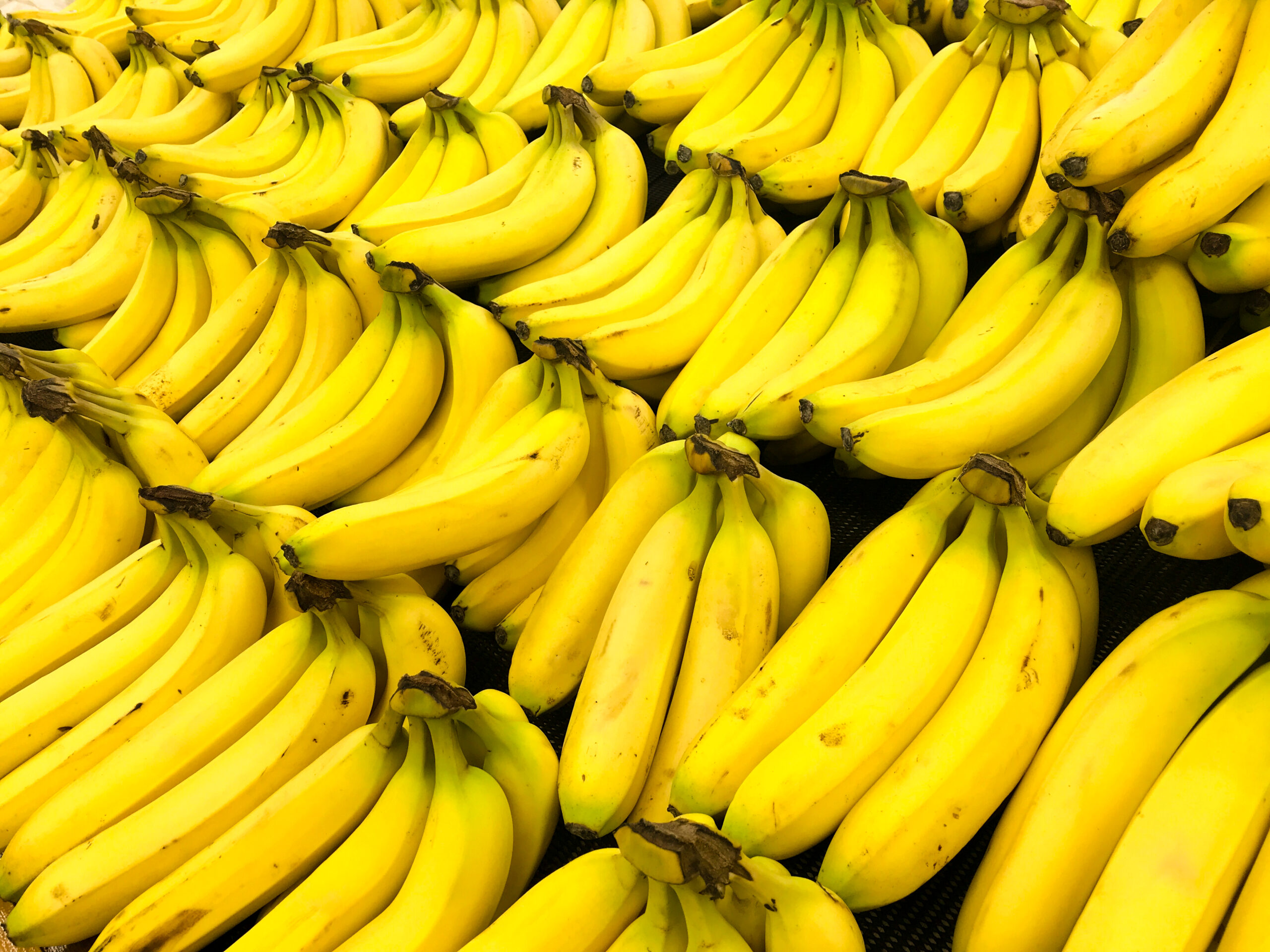 Cea mai populară banană din lume riscă să dispară