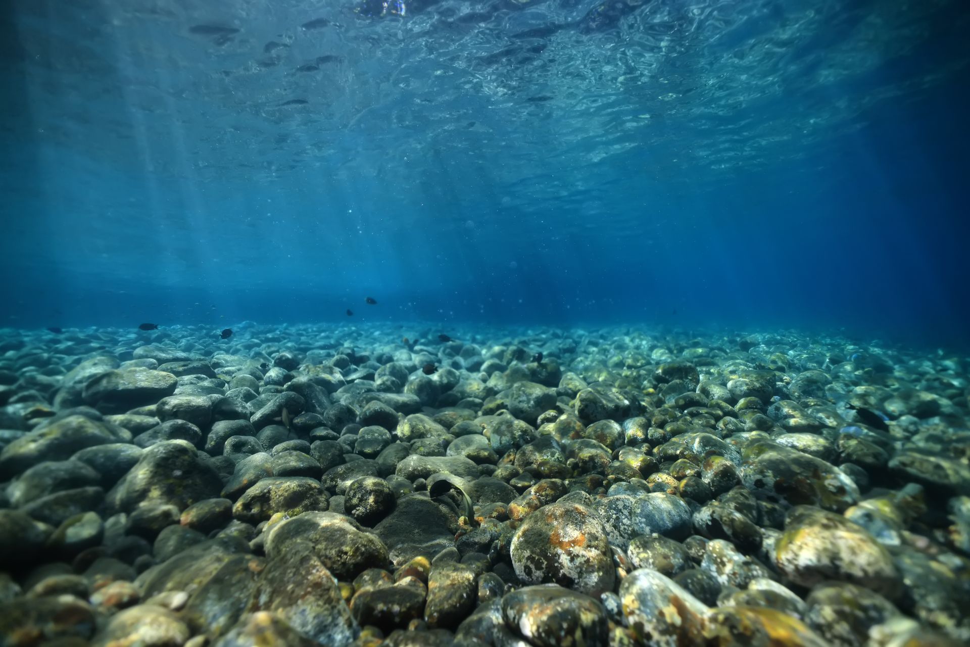 Uraniul din apa de mare ar putea deveni o sursă de combustibil nuclear