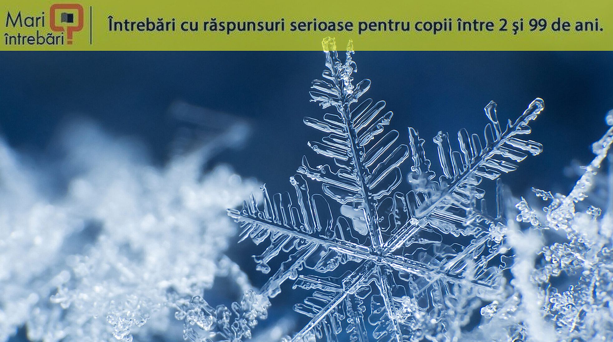 Cât de mari pot deveni fulgii de zăpadă?