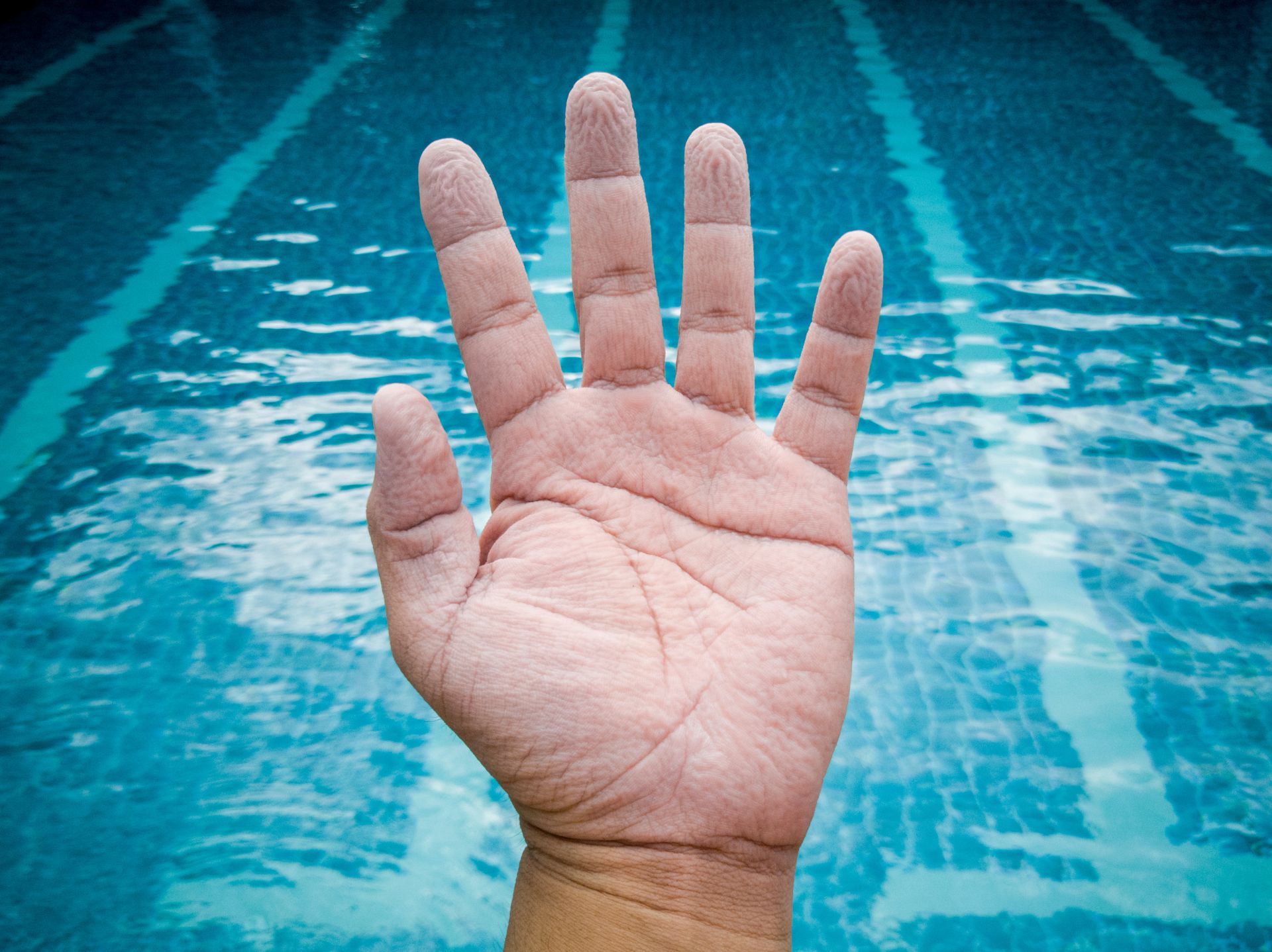 Test de cultură generală. De ce ni se zbârcesc degetele în apă?