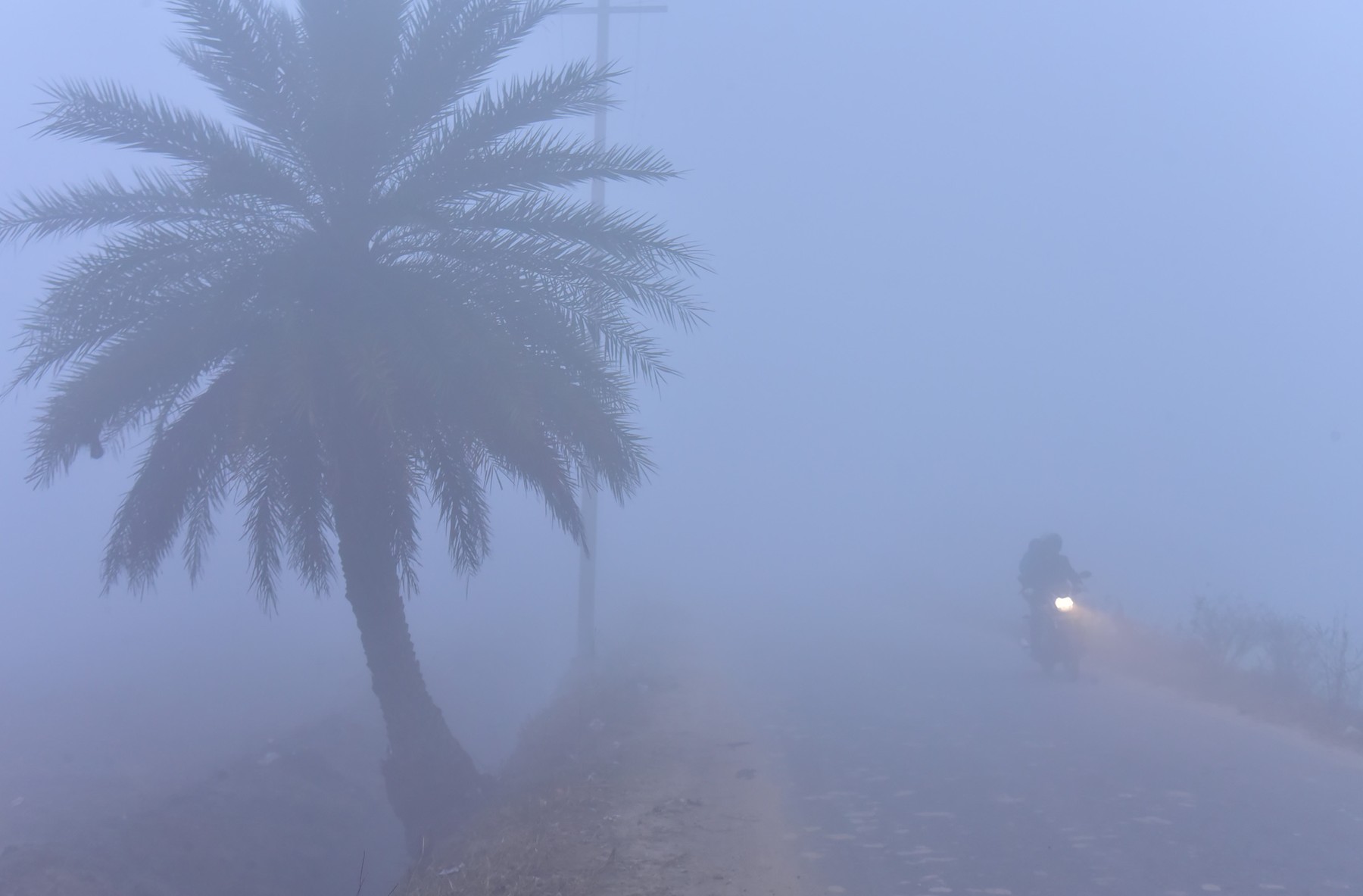 Ceața groasă din capitala Indiei a anulat sute de zboruri și zeci de ...