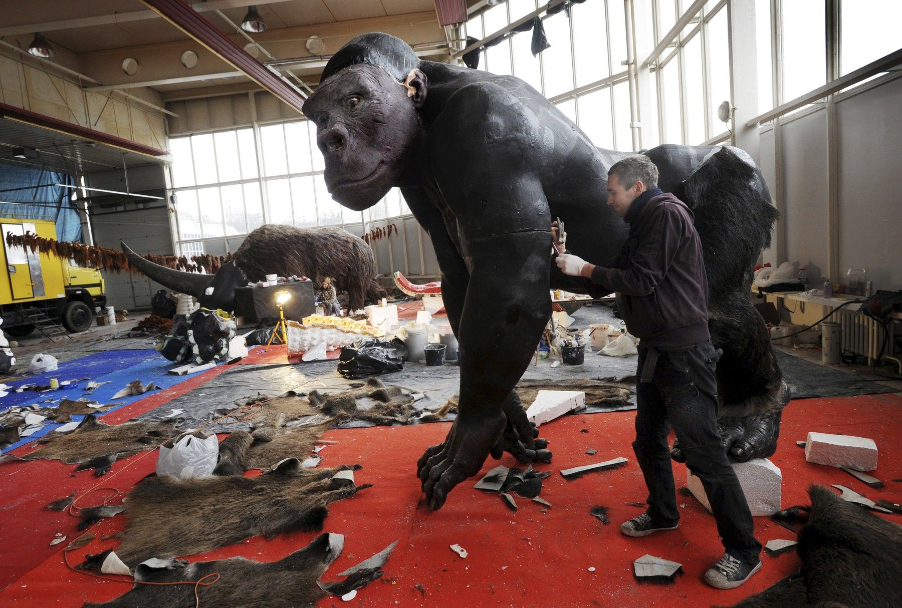 S-a aflat de ce a dispărut cea mai mare maimuță care a trăit vreodată!