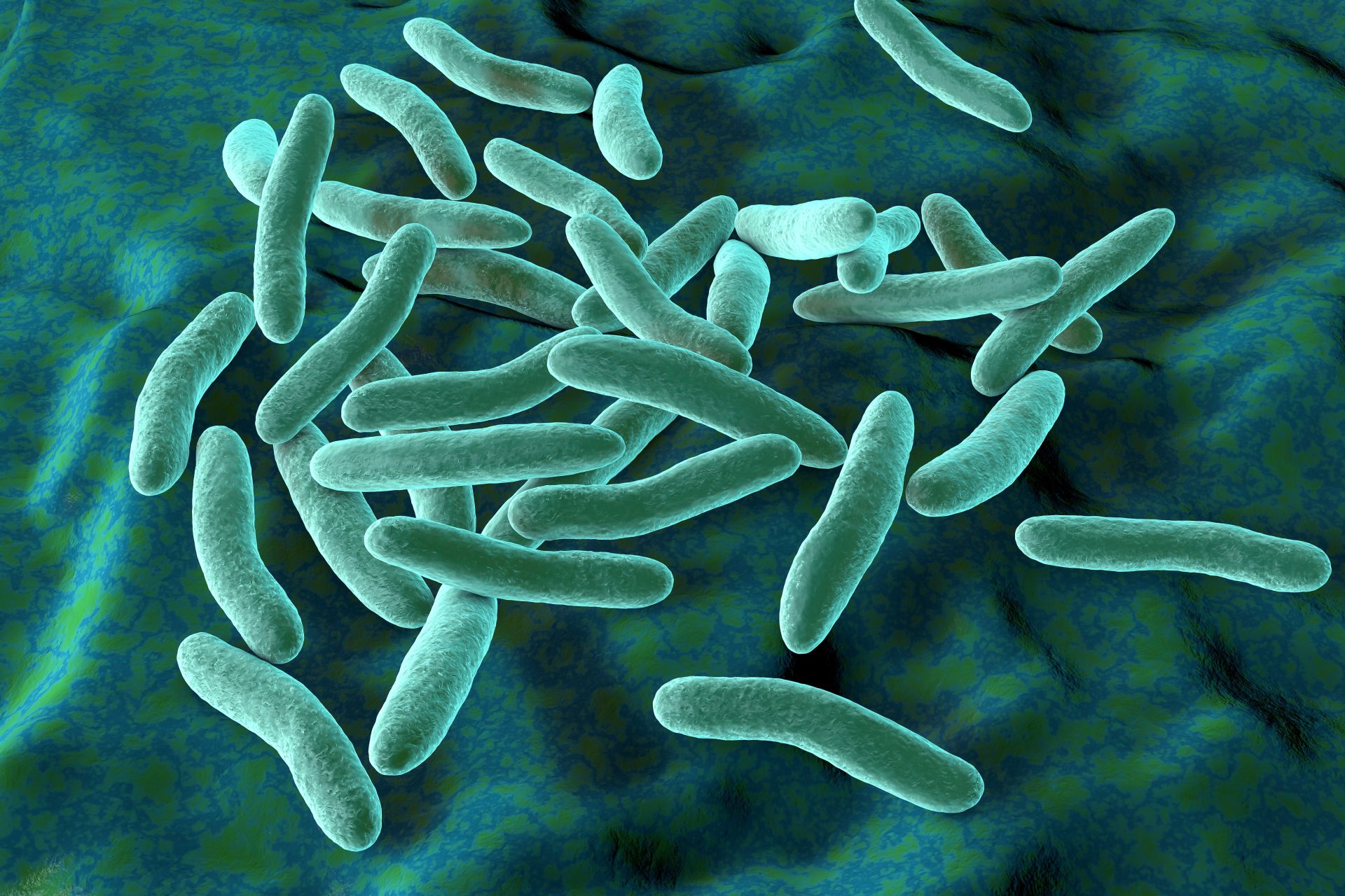 De ce antibioticele pot eșua chiar și împotriva bacteriilor care nu ...