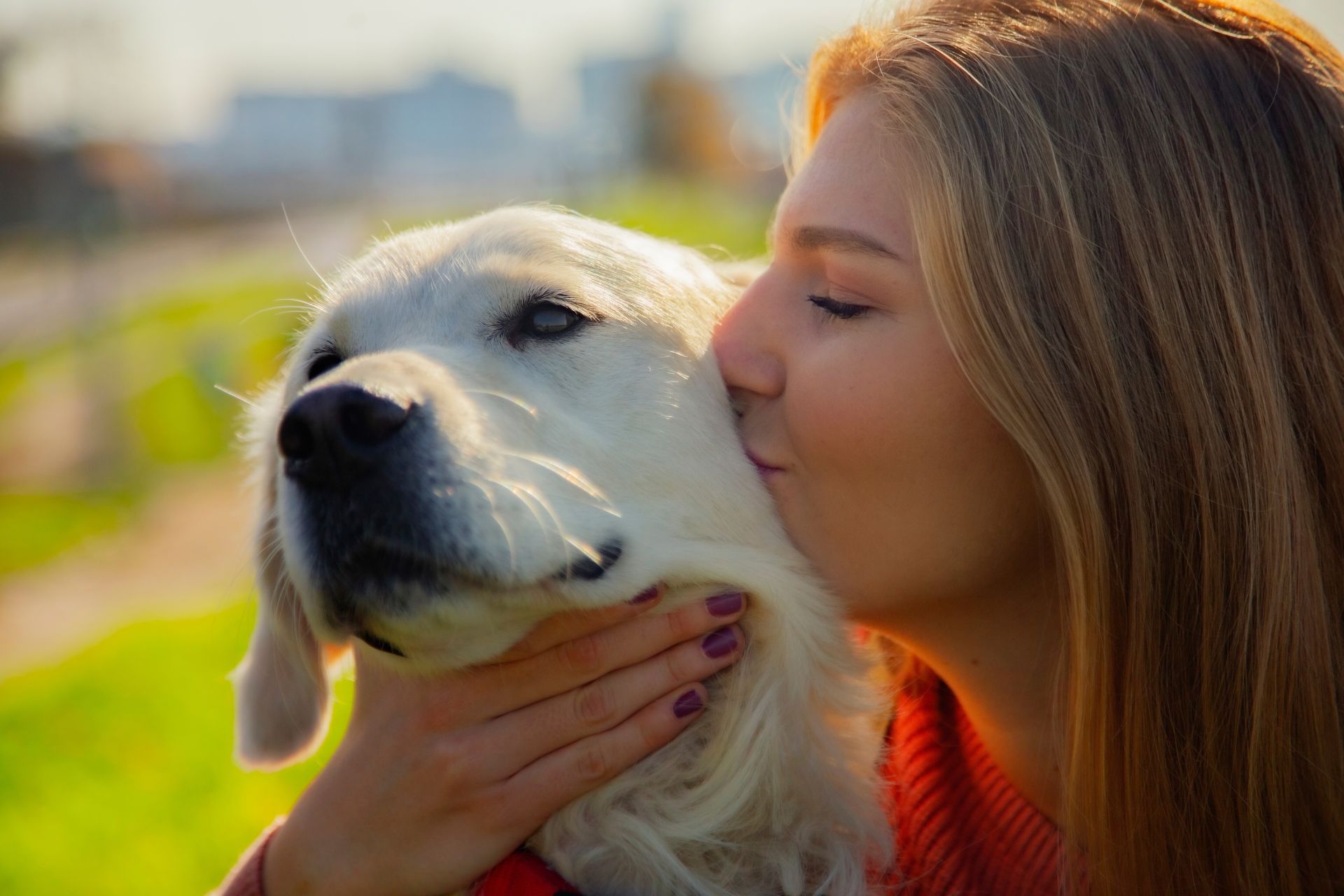 Înmormântarea alături de animalul de companie era un obicei important ...