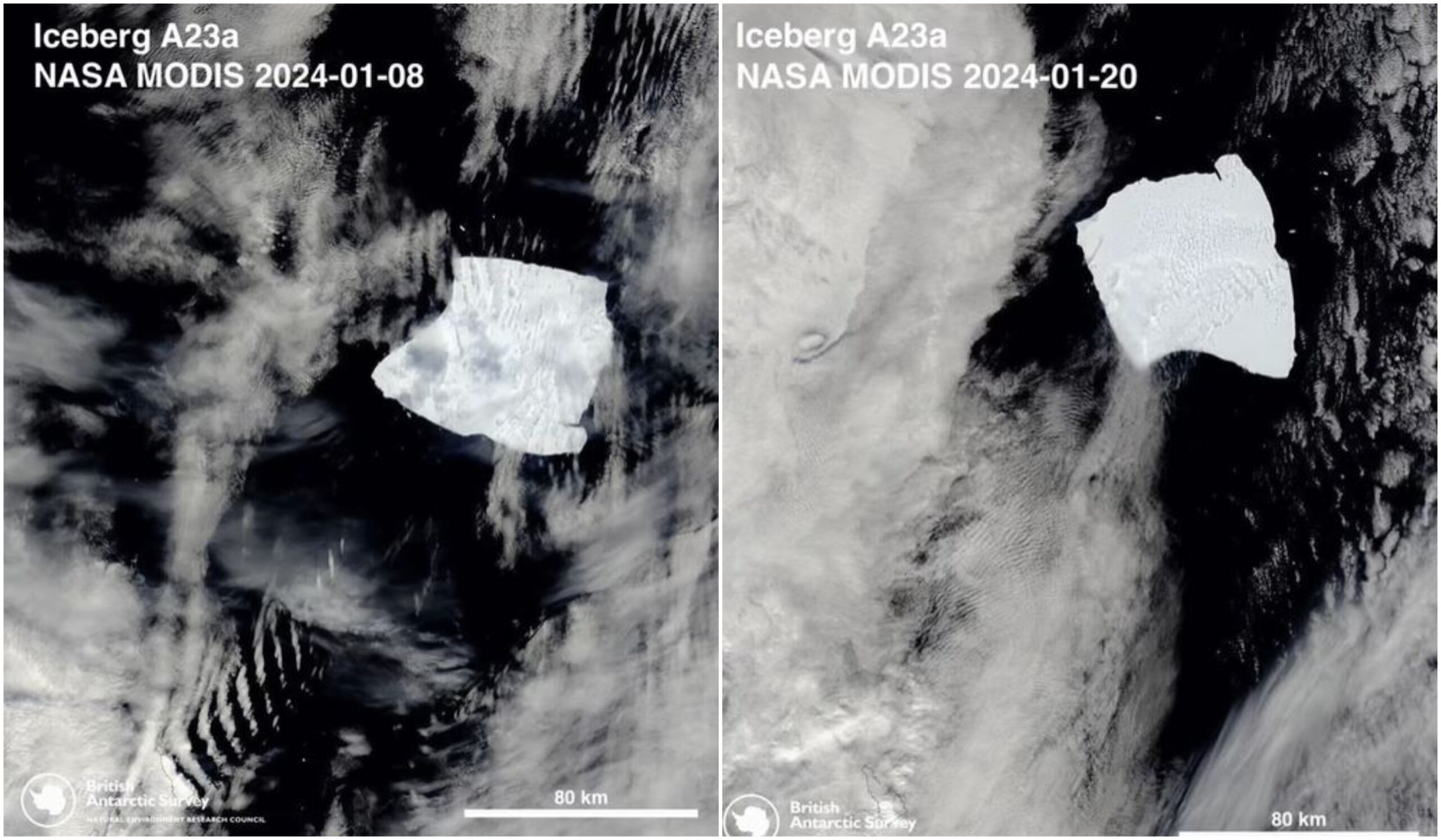 Cel mai mare aisberg din lume a făcut „o piruetă de 360 de grade”