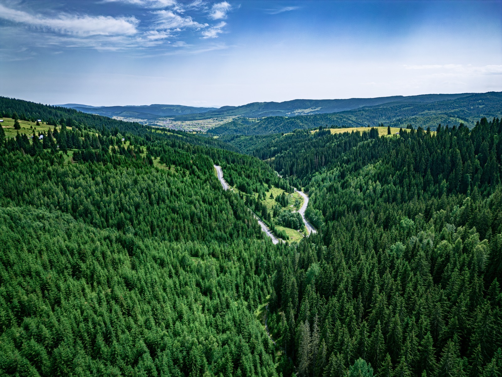 Bilbor, biodiversitate unică în România