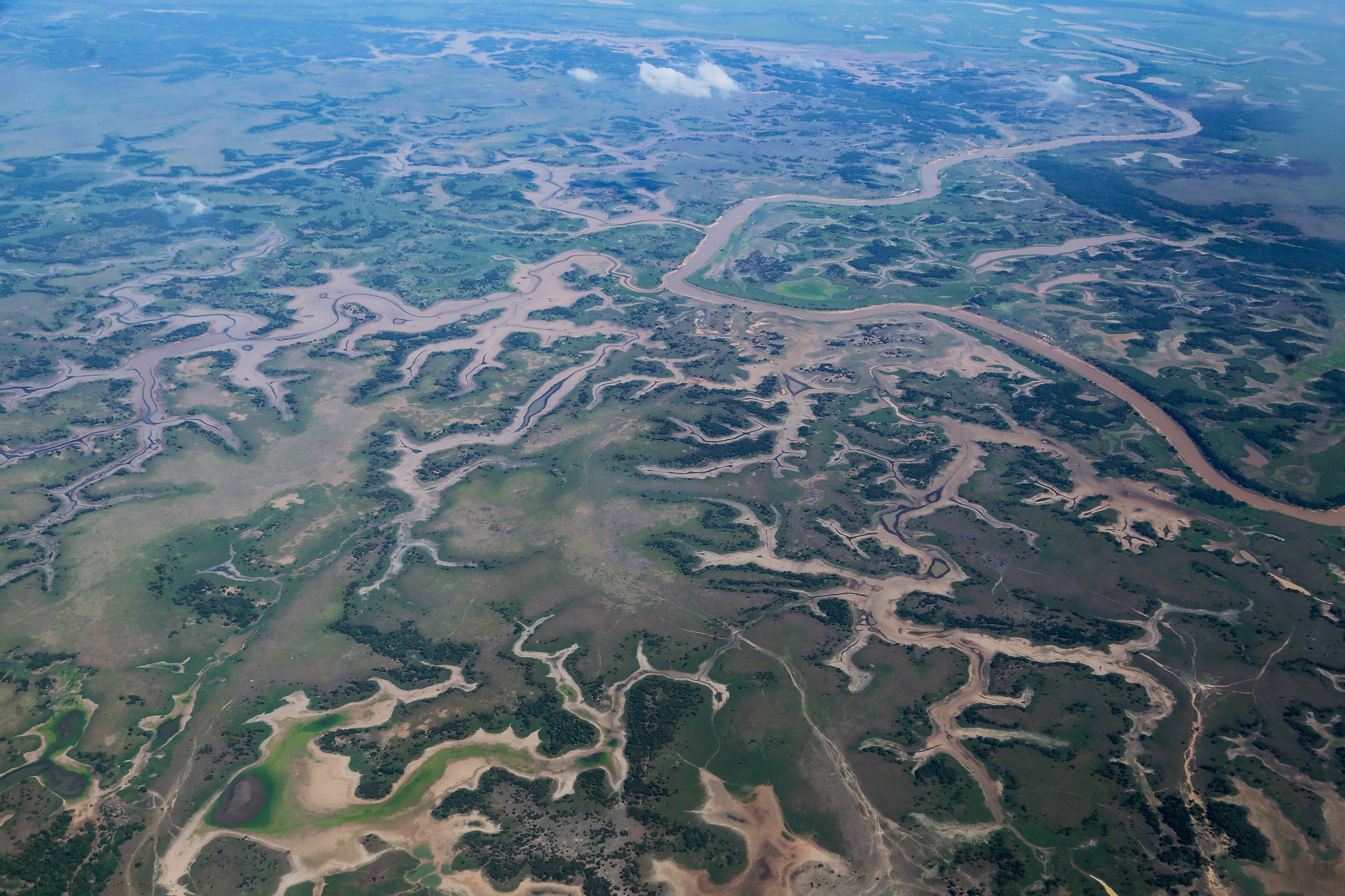 Seceta din pădurea amazoniană, evenimentul climatic devastator din 2023