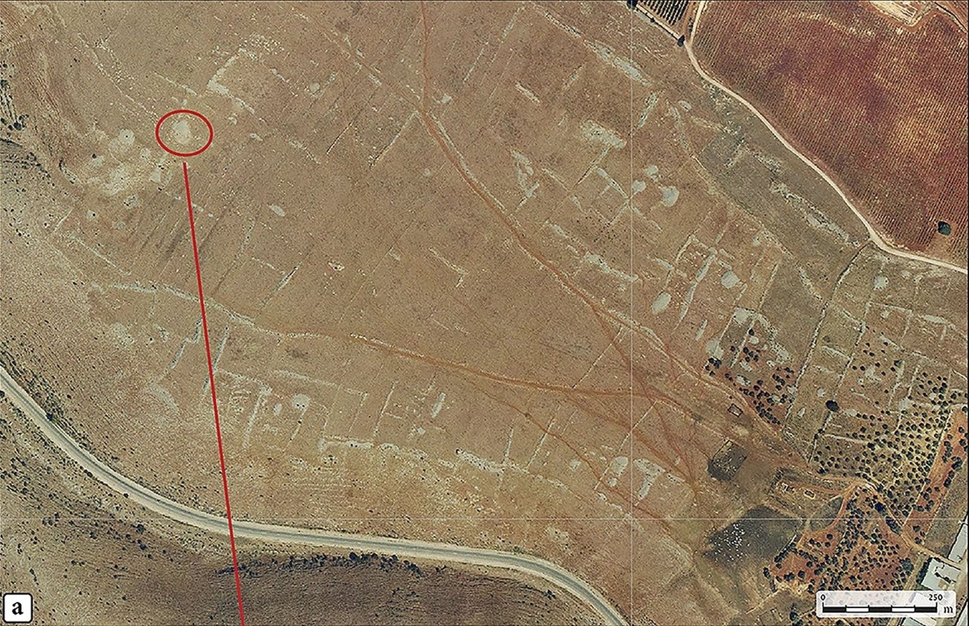 Locul în care Homo erectus a vânat și a măcelărit elefanți