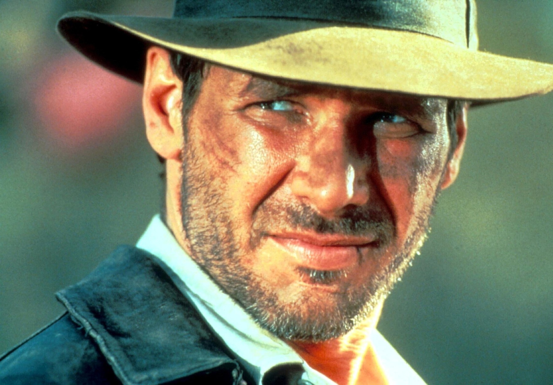 Harrison Ford, de la dulgher la star de cinema. Meseriașul de la Hollywood