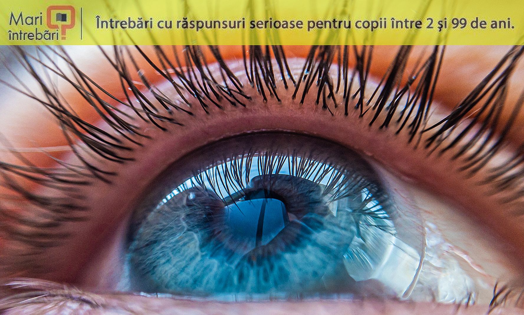 Cine a inventat lentilele de contact?