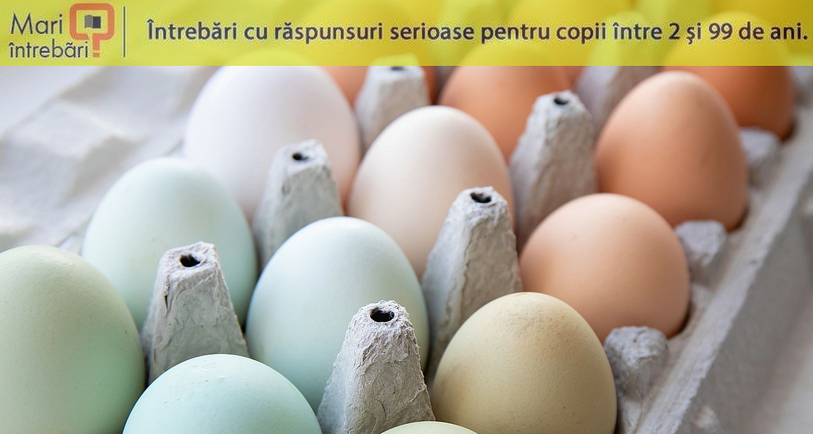 De ce ouăle de găină au culori diferite?