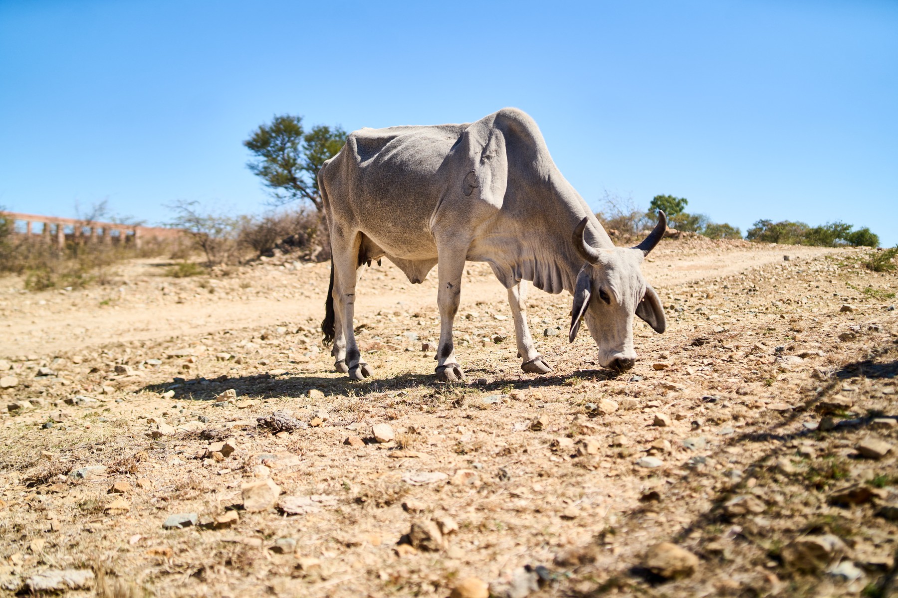 Seceta din Africa a făcut ravagii. Aproape 70 de milioane de oameni au ...