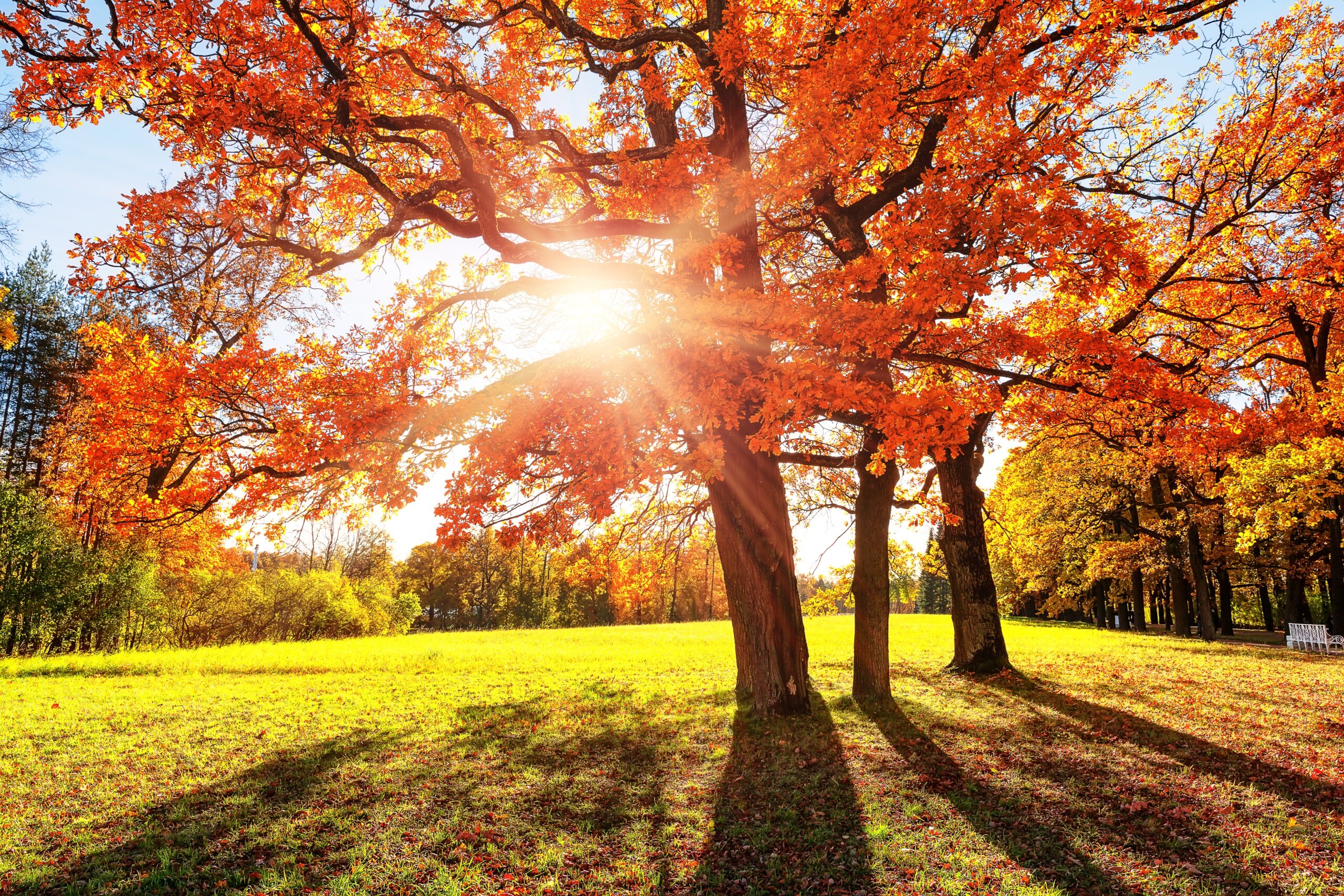 Prognoza pentru prima lună de toamnă: Cum va fi vremea în septembrie?