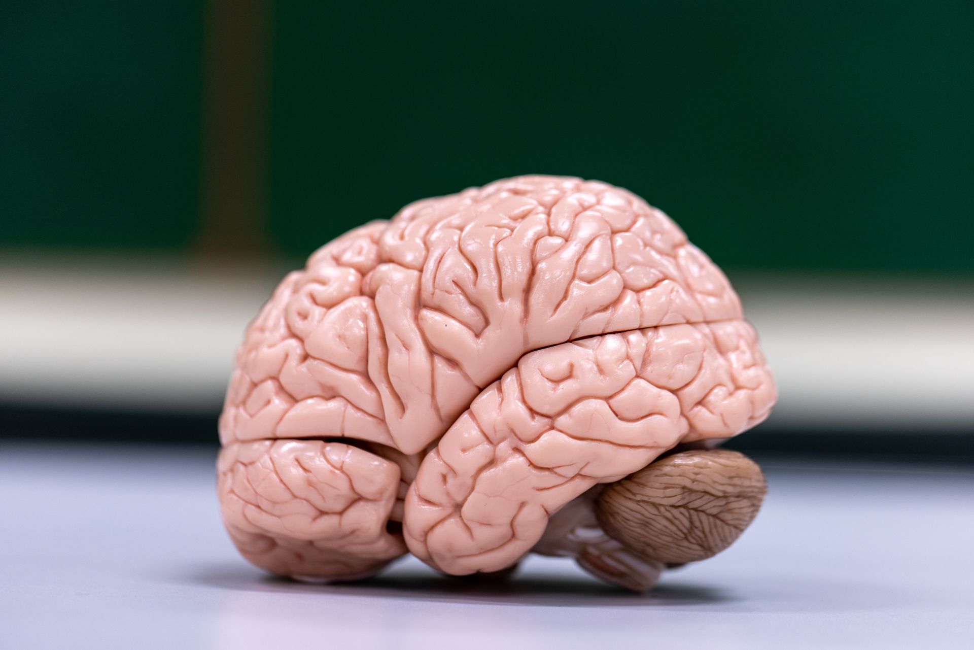 Neurocercetătorii au găsit un mecanism în creierul oamenilor care ...