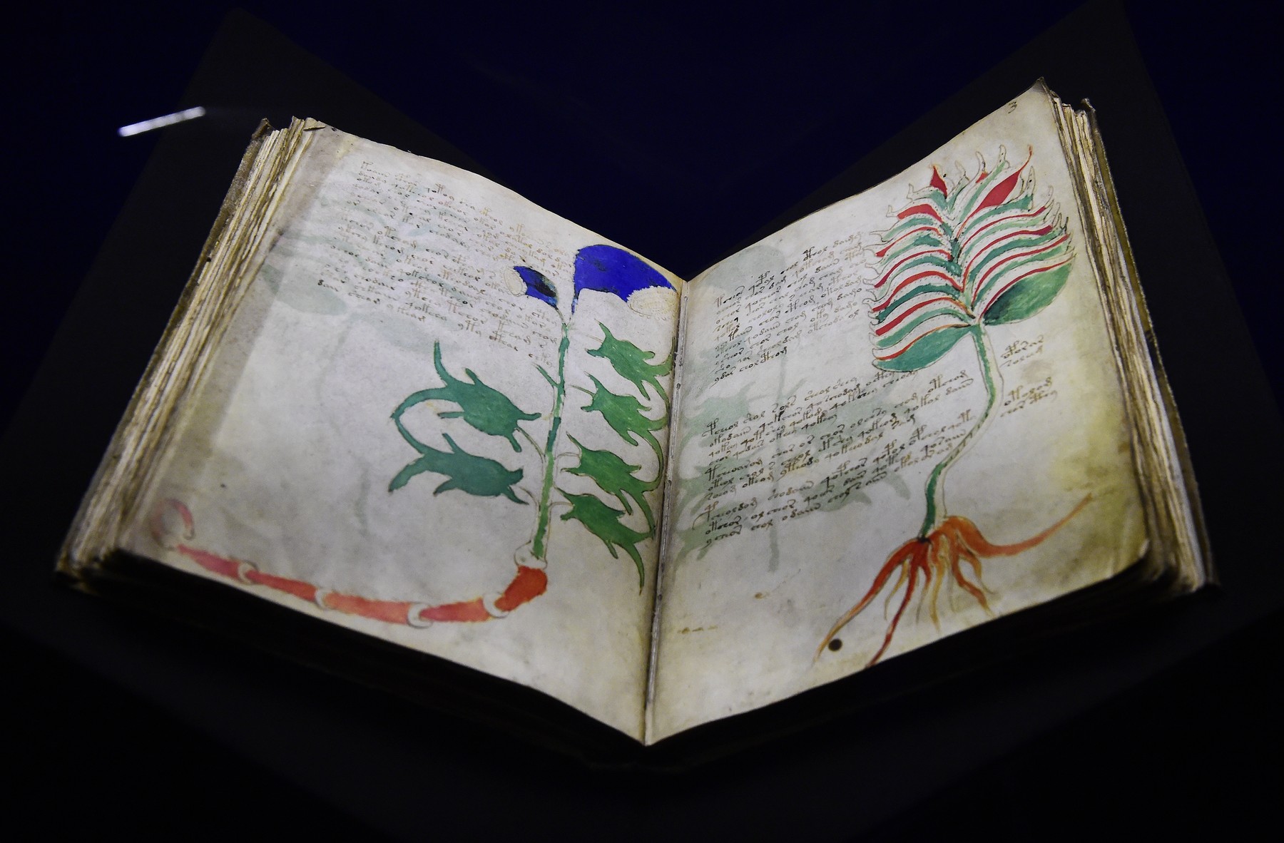 Manuscrisul Voynich, codex medieval scris într-o limbă inexistentă ...