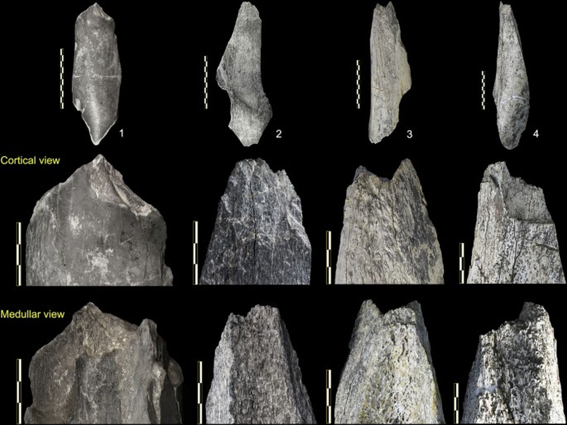 Au fost găsite cele mai vechi unelte create vreodată de mâna omului