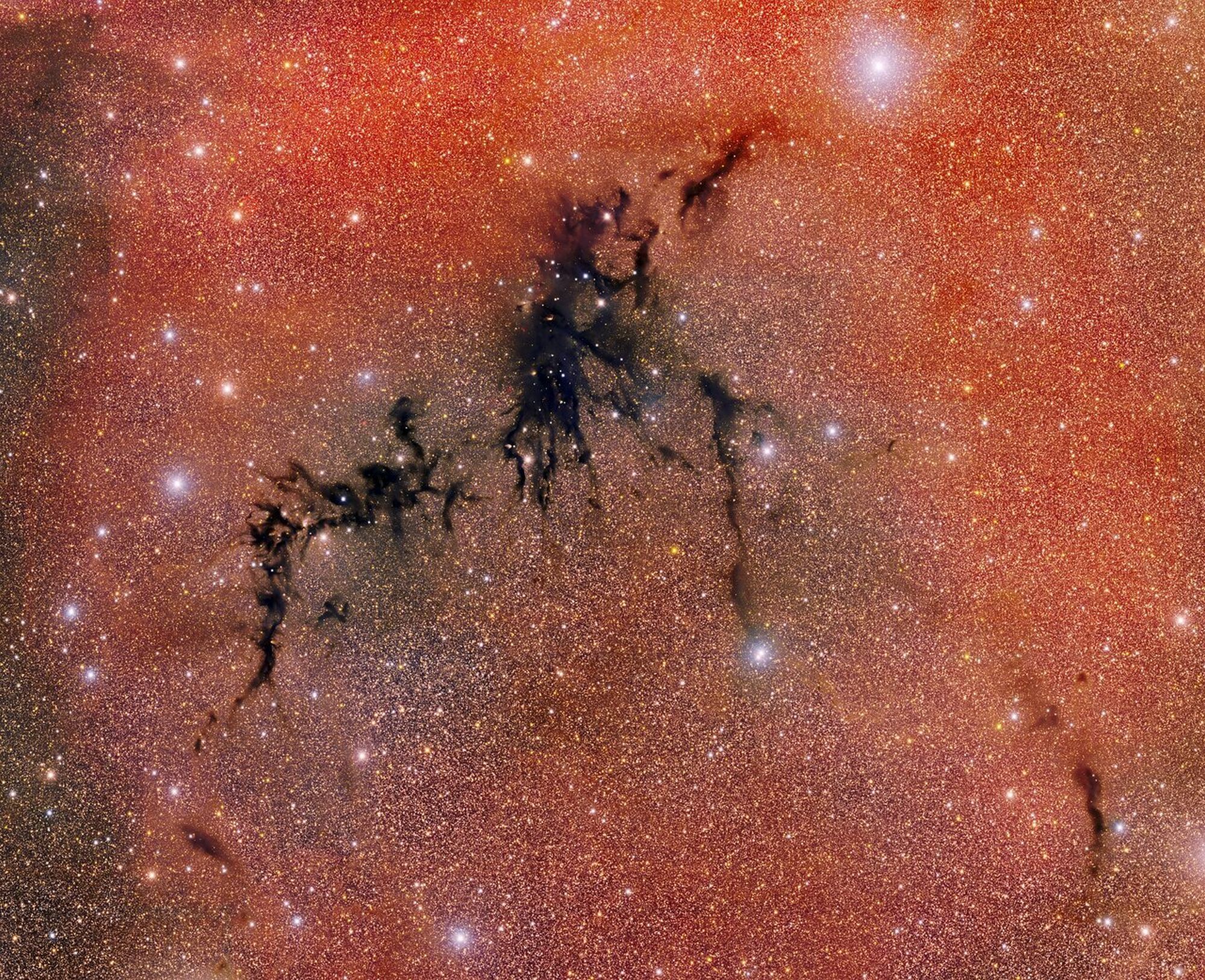 Astronomii au descoperit că o nebuloasă întunecată ascunde un cuib de ...