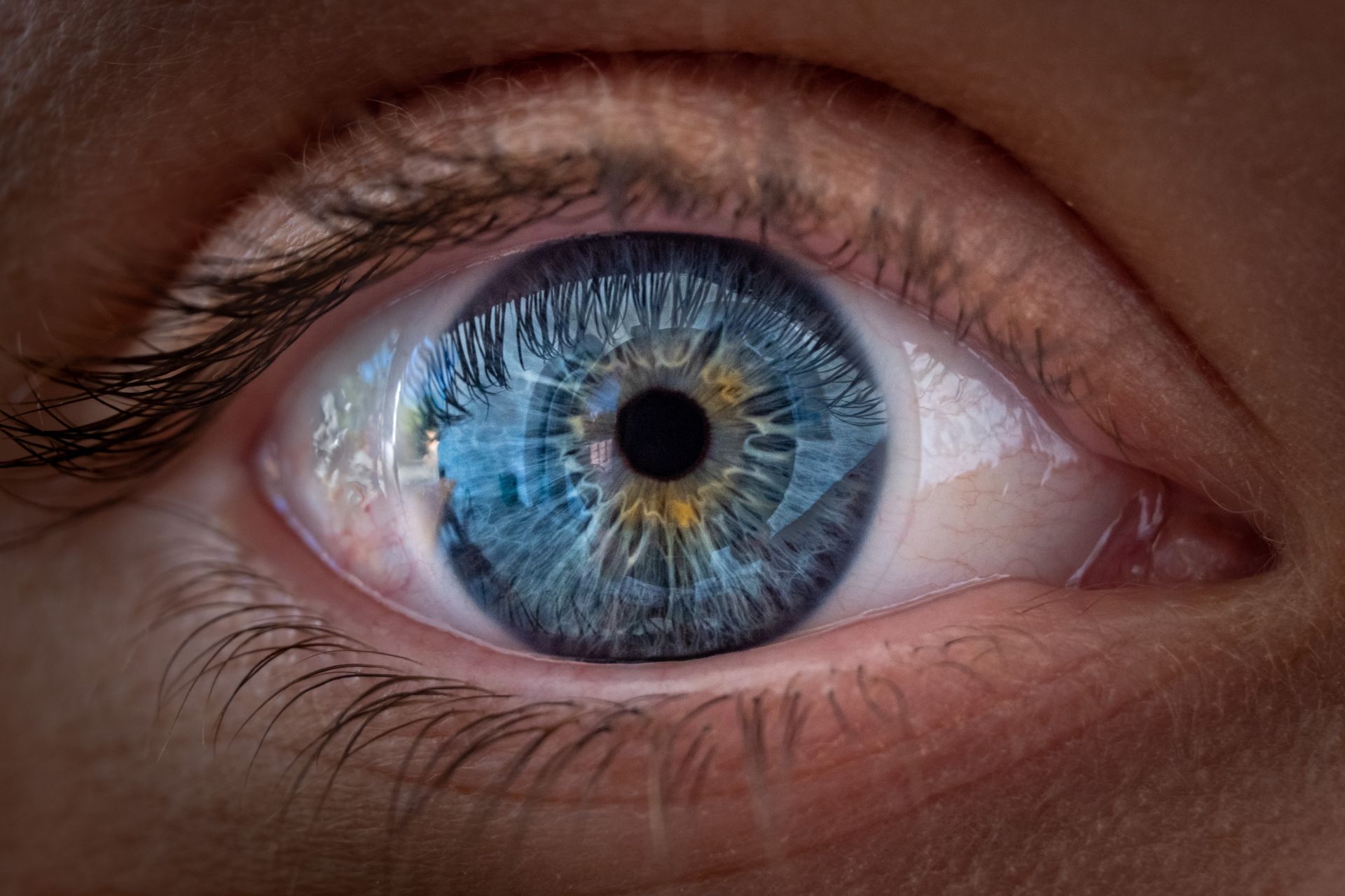 Este adevărat că ochii văd lumea cu susul în jos? Iată ce spune știința!