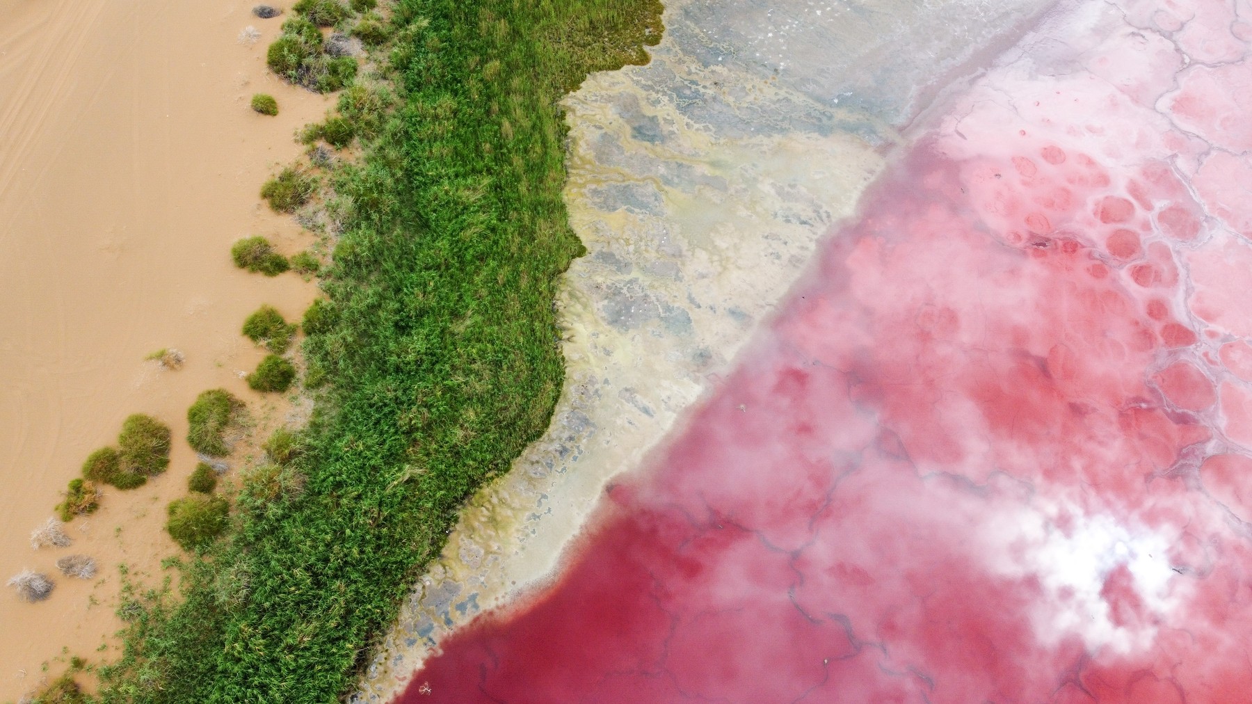 De ce apa unui lac dintr-un deșert din China a devenit brusc roz?