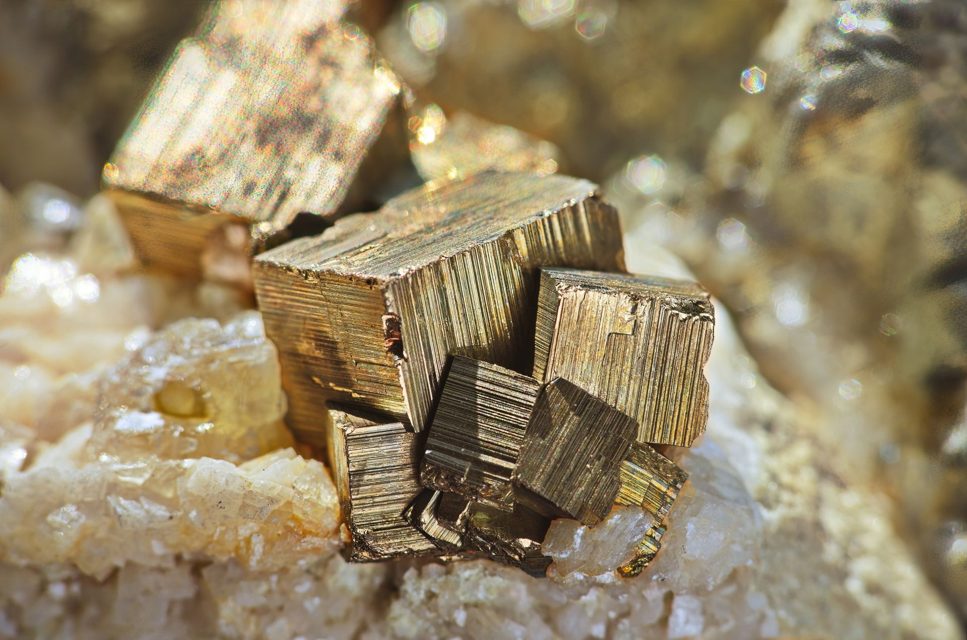 Test de cultură generală. Ce este aurul nebunilor?