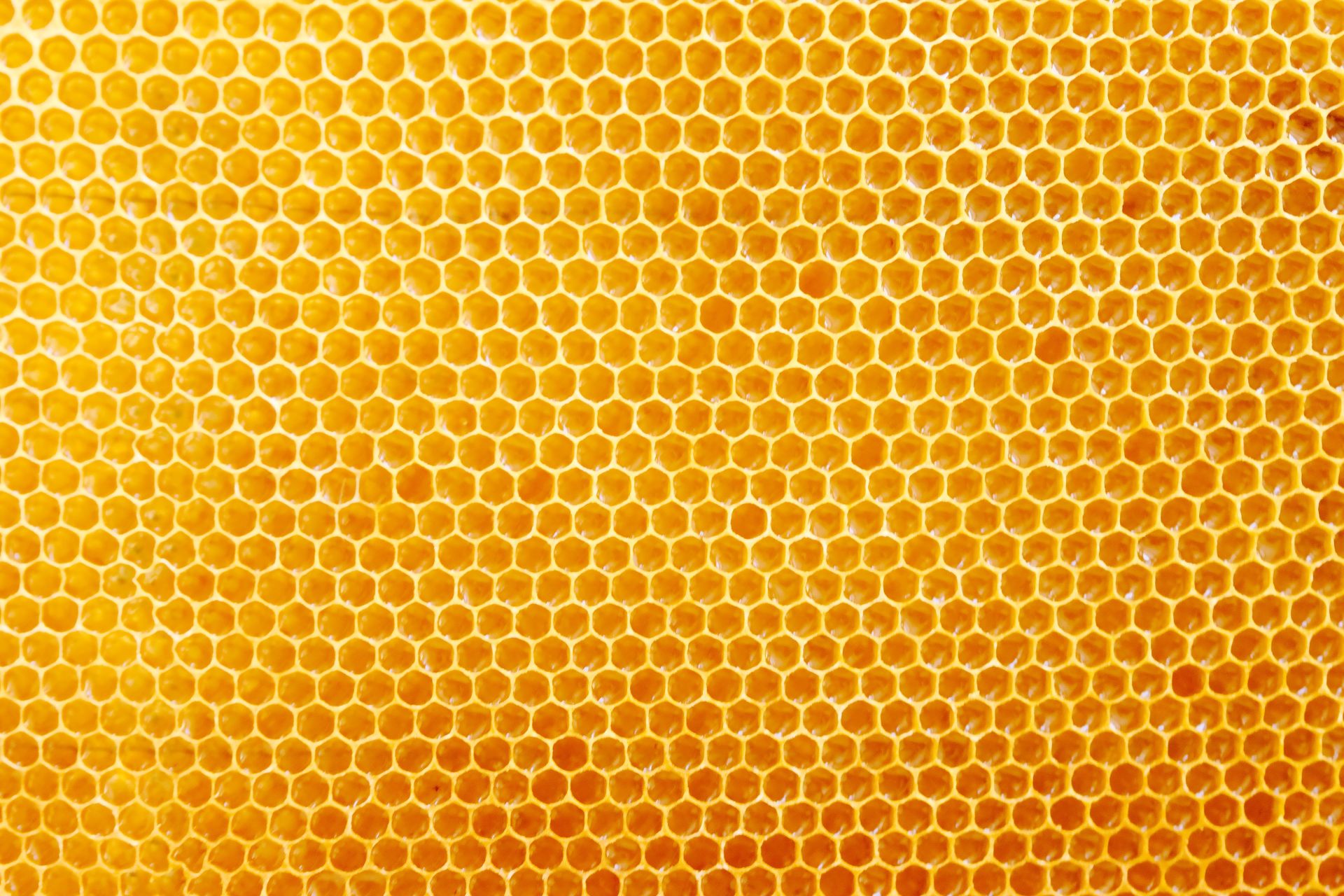 O echipă de studenți a dezvoltat un motor de rachetă alimentat cu ceară ...