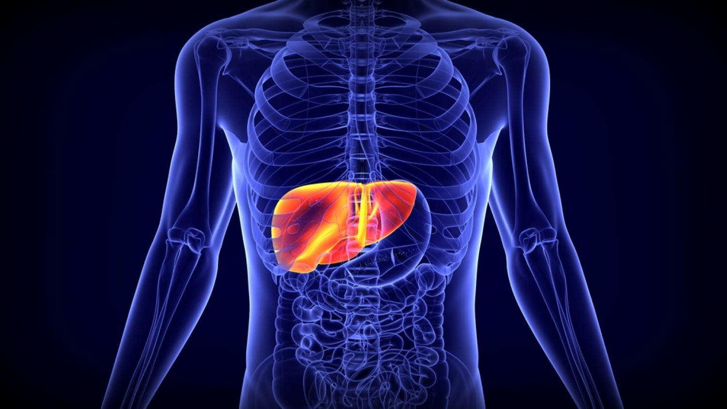 (P) Enzime hepatice și rolul lor în evaluarea funcției ficatului