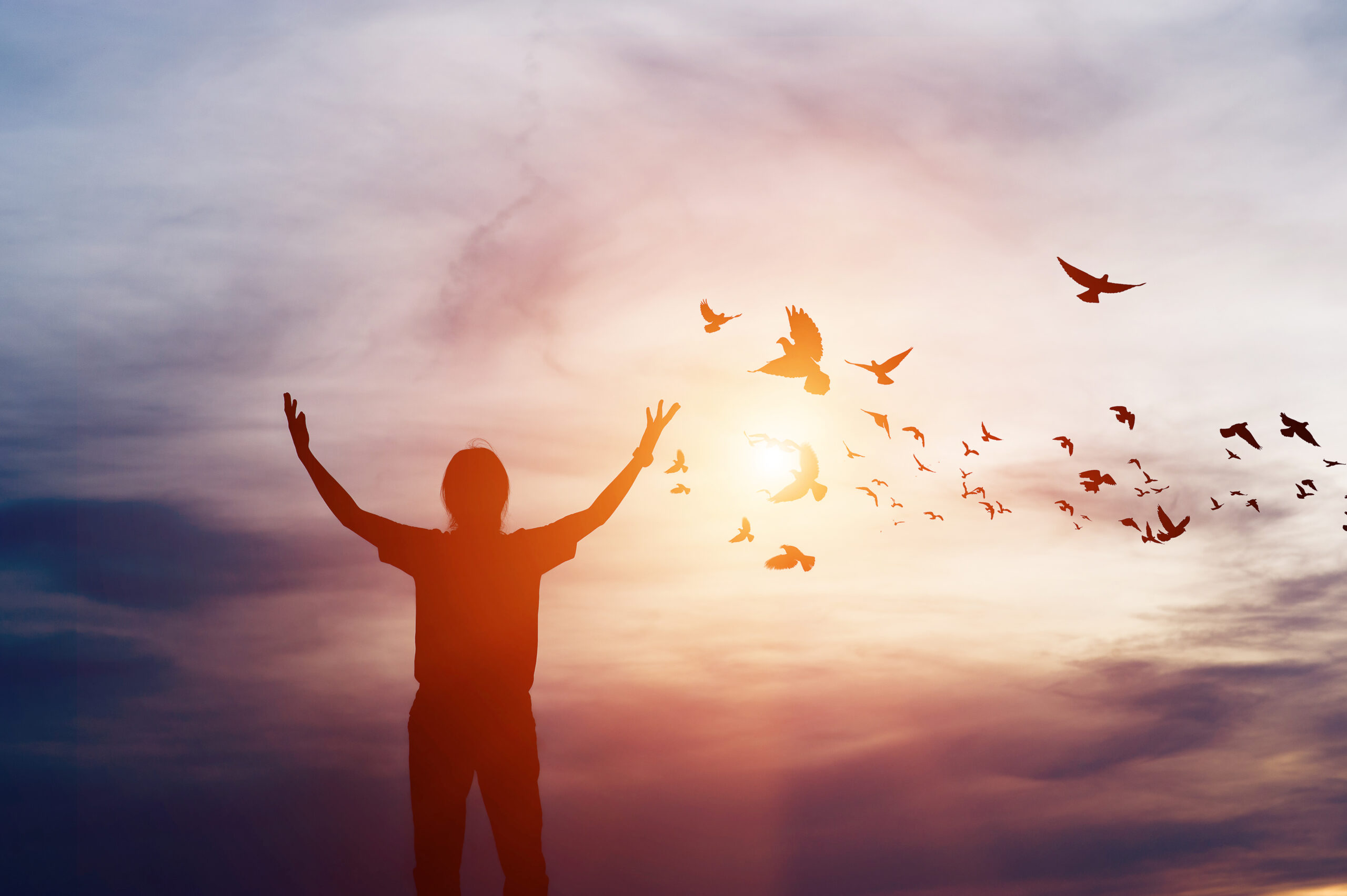 Martin Seligman și puterea psihologiei pozitive. Cum putem cultiva ...