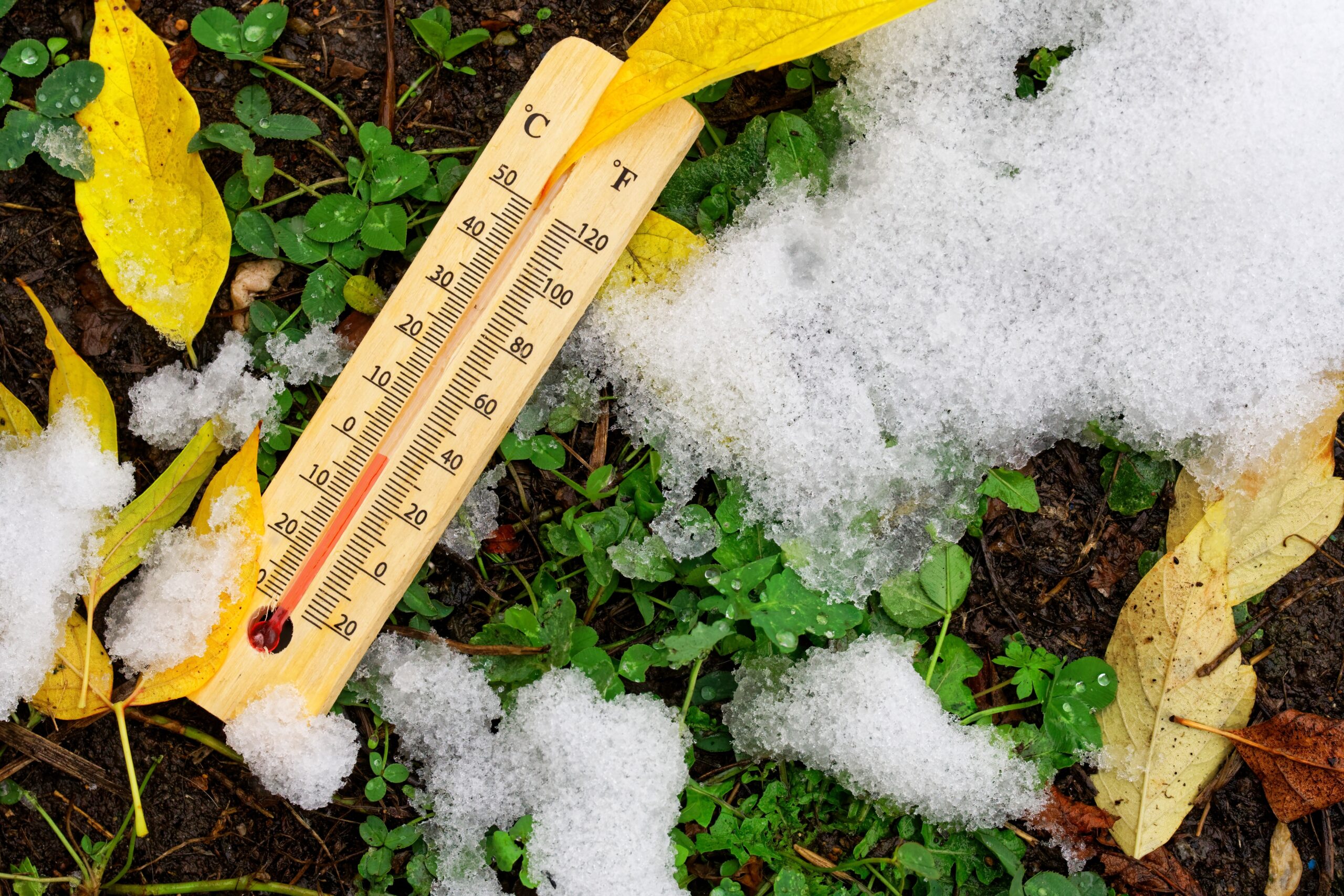 Prognoza meteo actualizată: Cum va fi vremea în februarie?