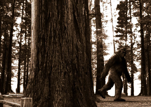 Gigantopithecus - Povestea adevaratului King Kong