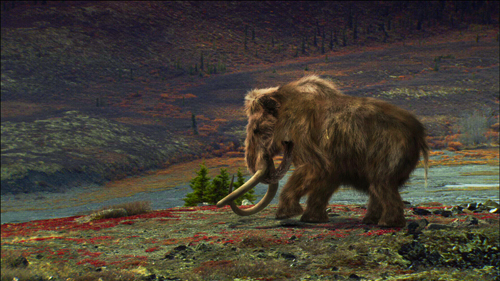 Mamutii – ultimii giganti ai planetei